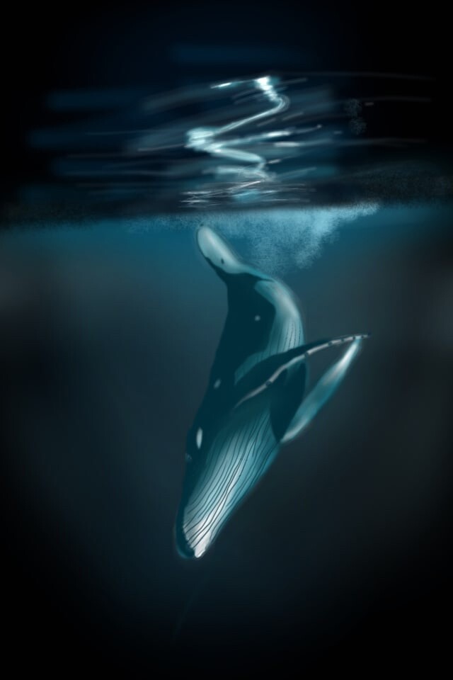 ArtStation - The Blue Whale