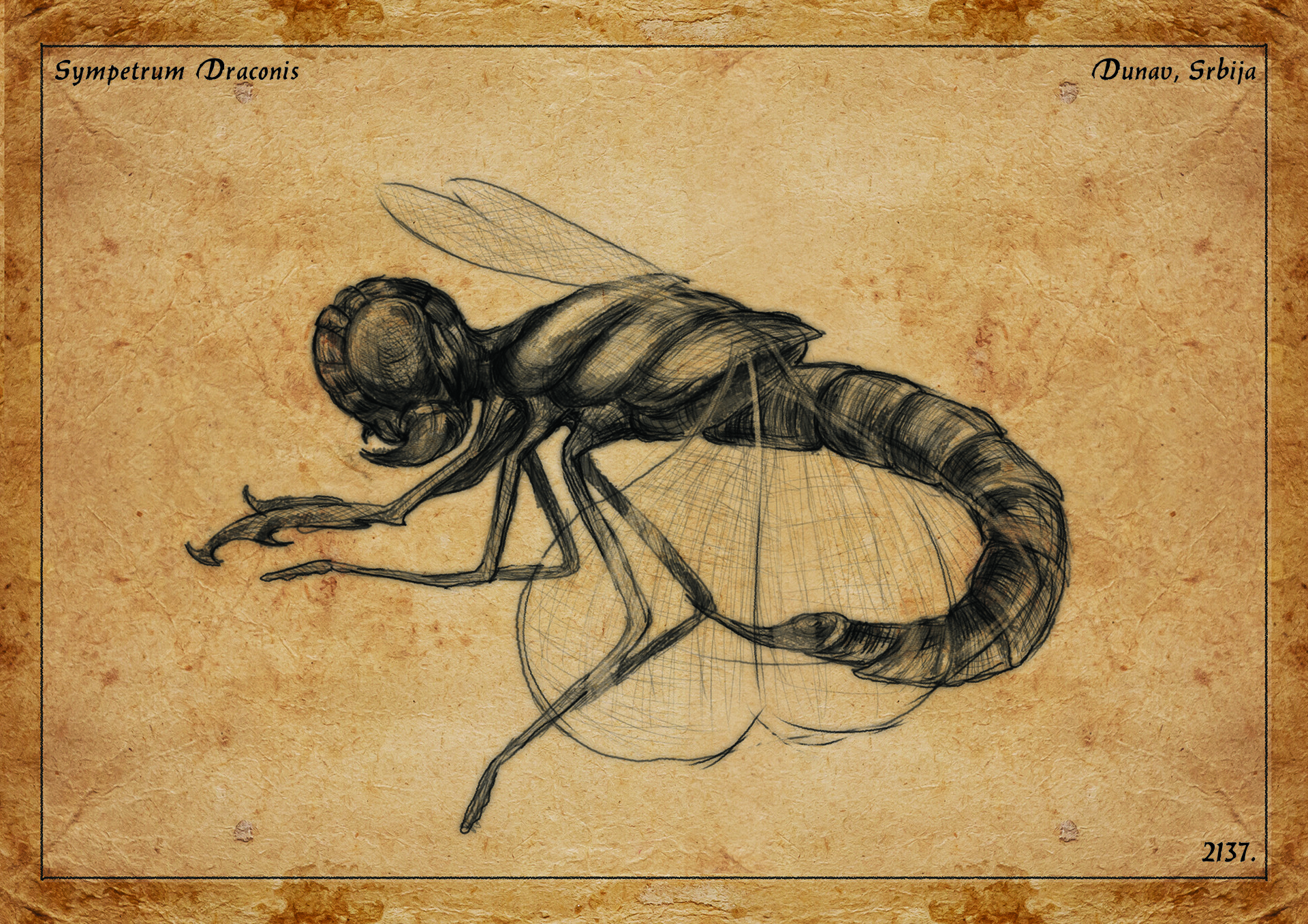 Daniel Tabori - Danube 2137.