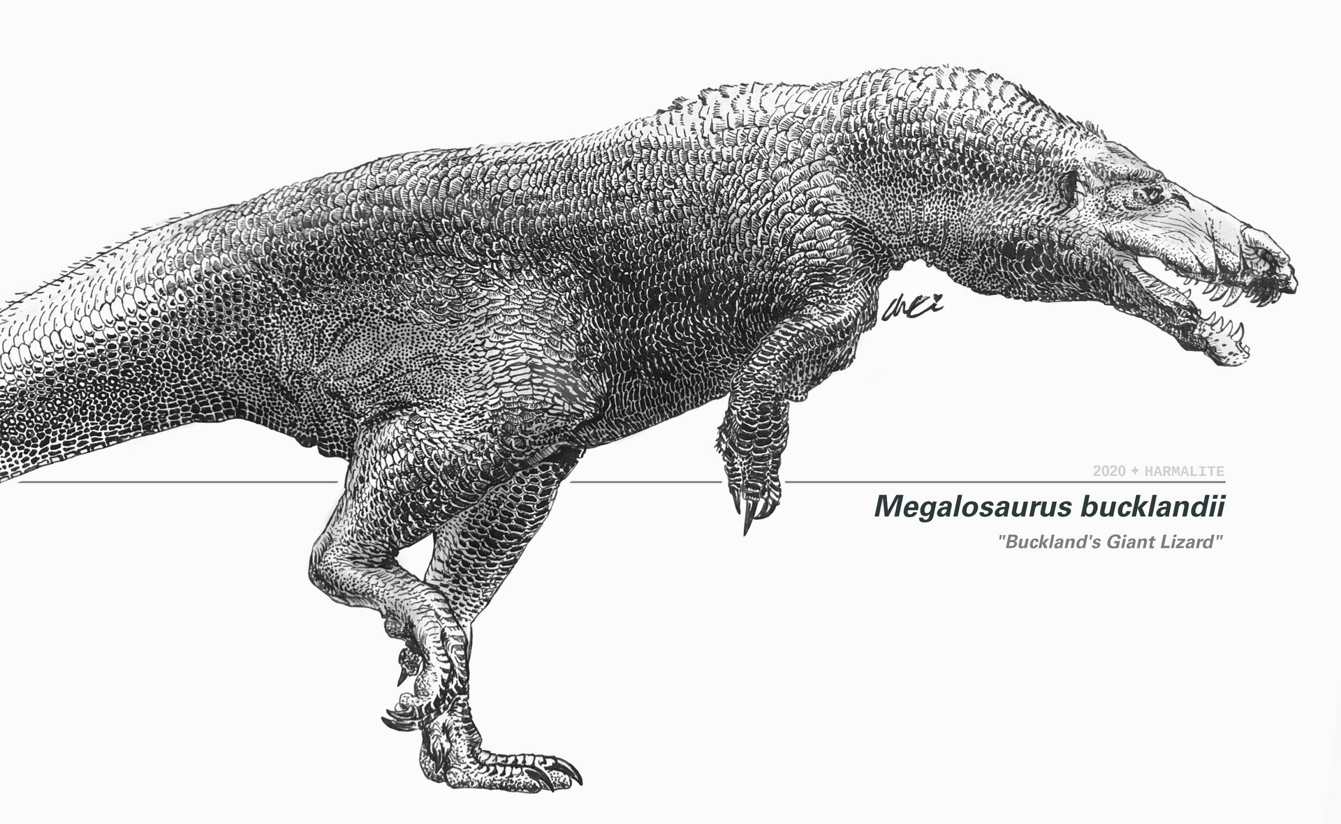 ArtStation - Megalosaurus bucklandii