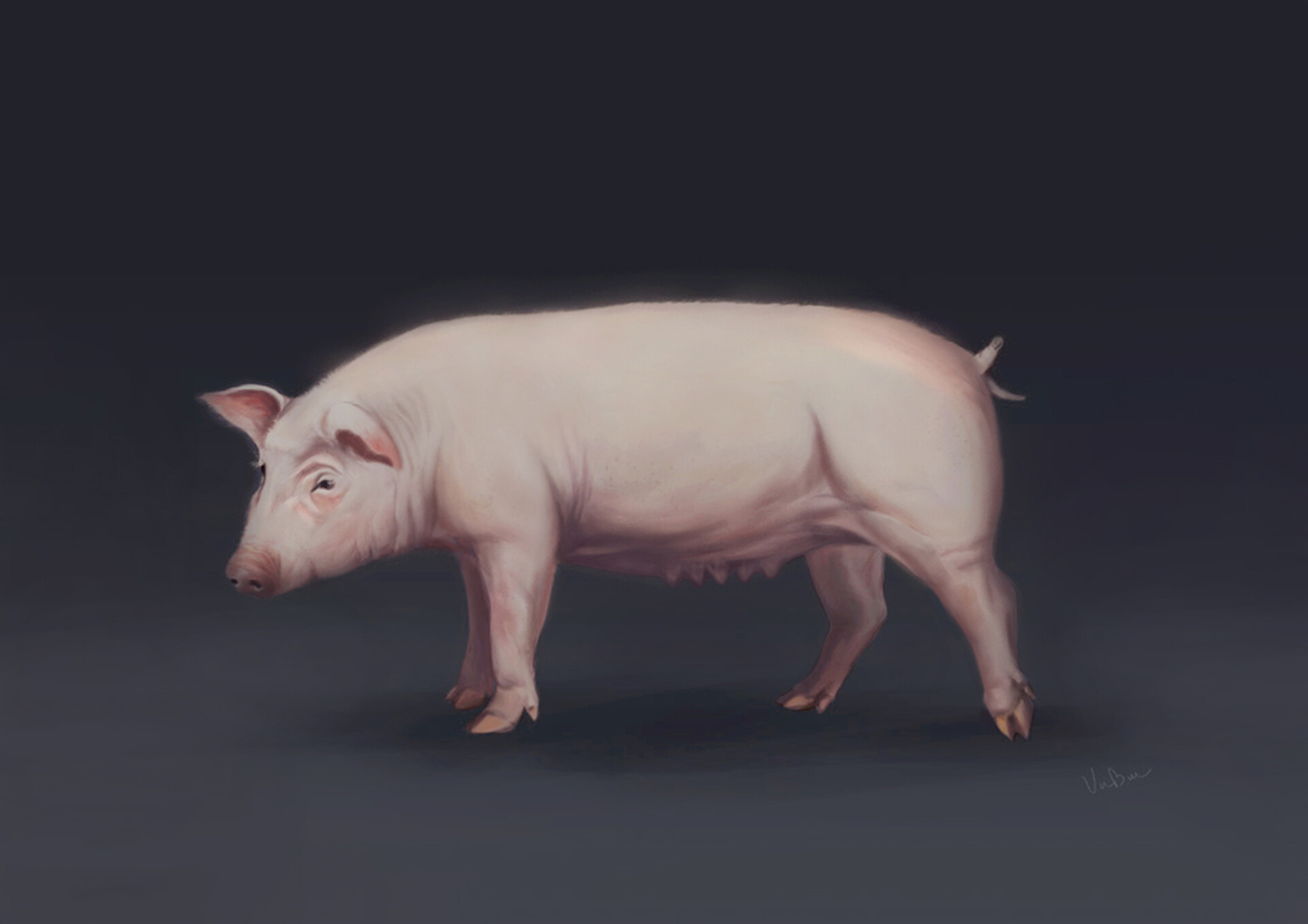 ArtStation - pig
