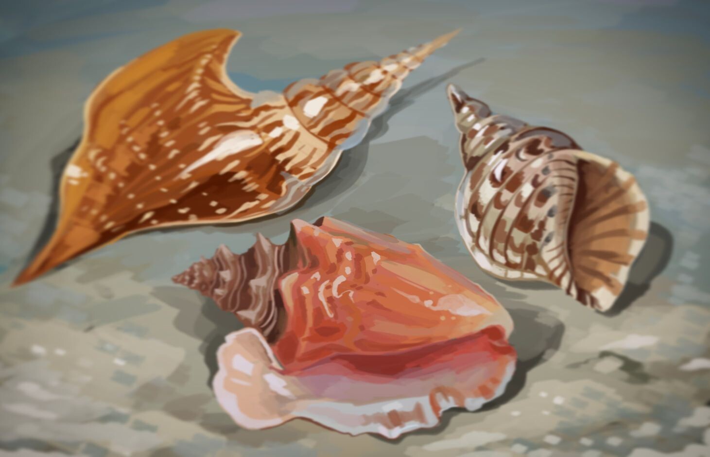 ArtStation - Seashells by the Seashore