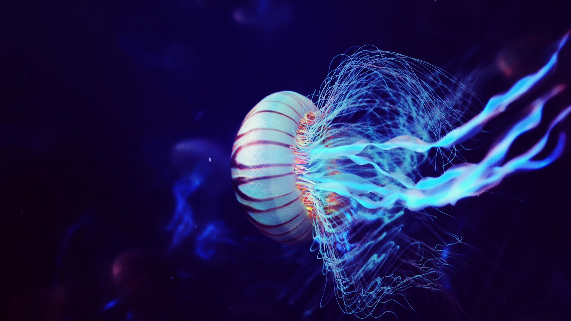 Arcane Polygon - Jellyfish Animation