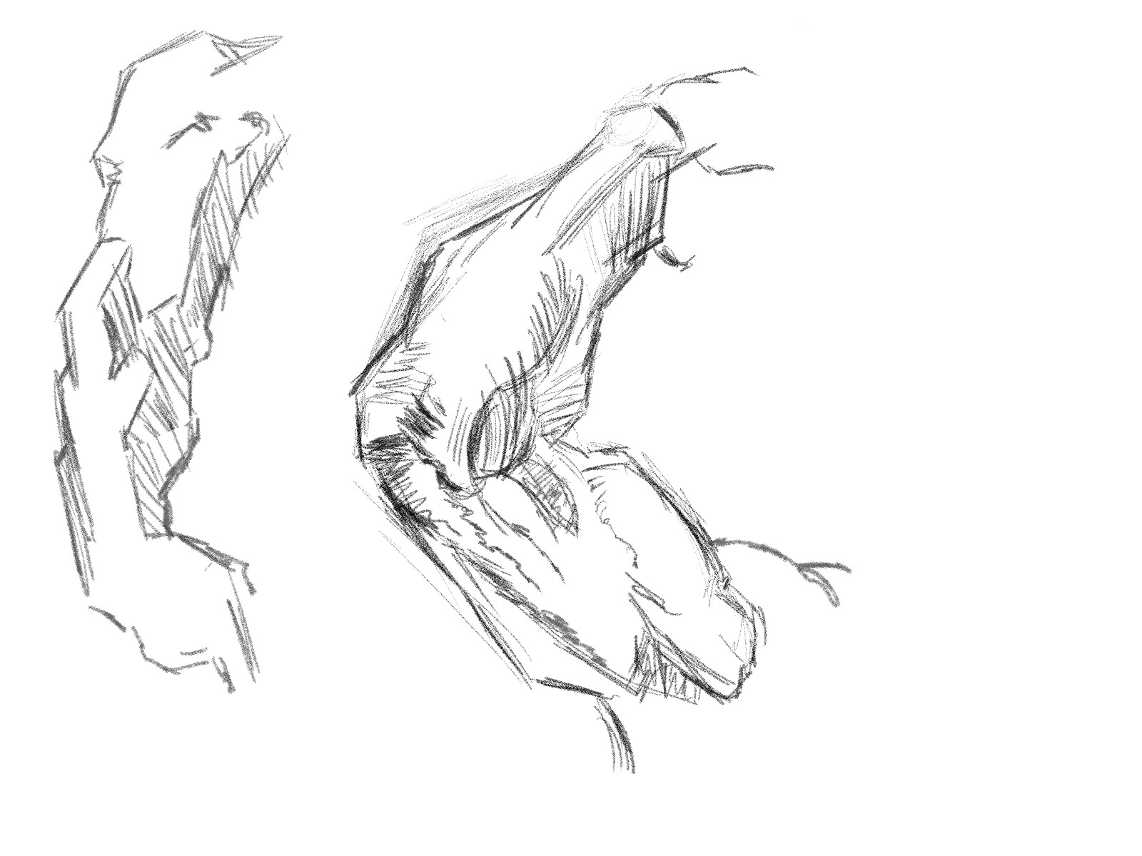 ArtStation - Bridgeman study arm