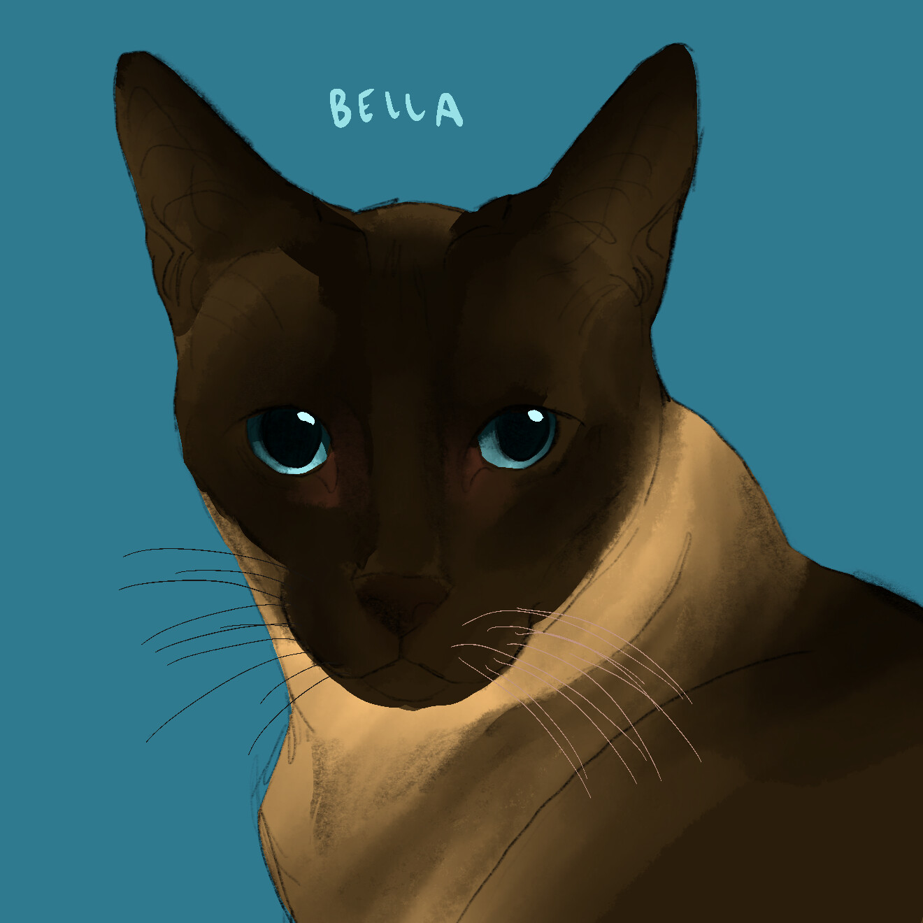 ArtStation - Graphic - BELLA