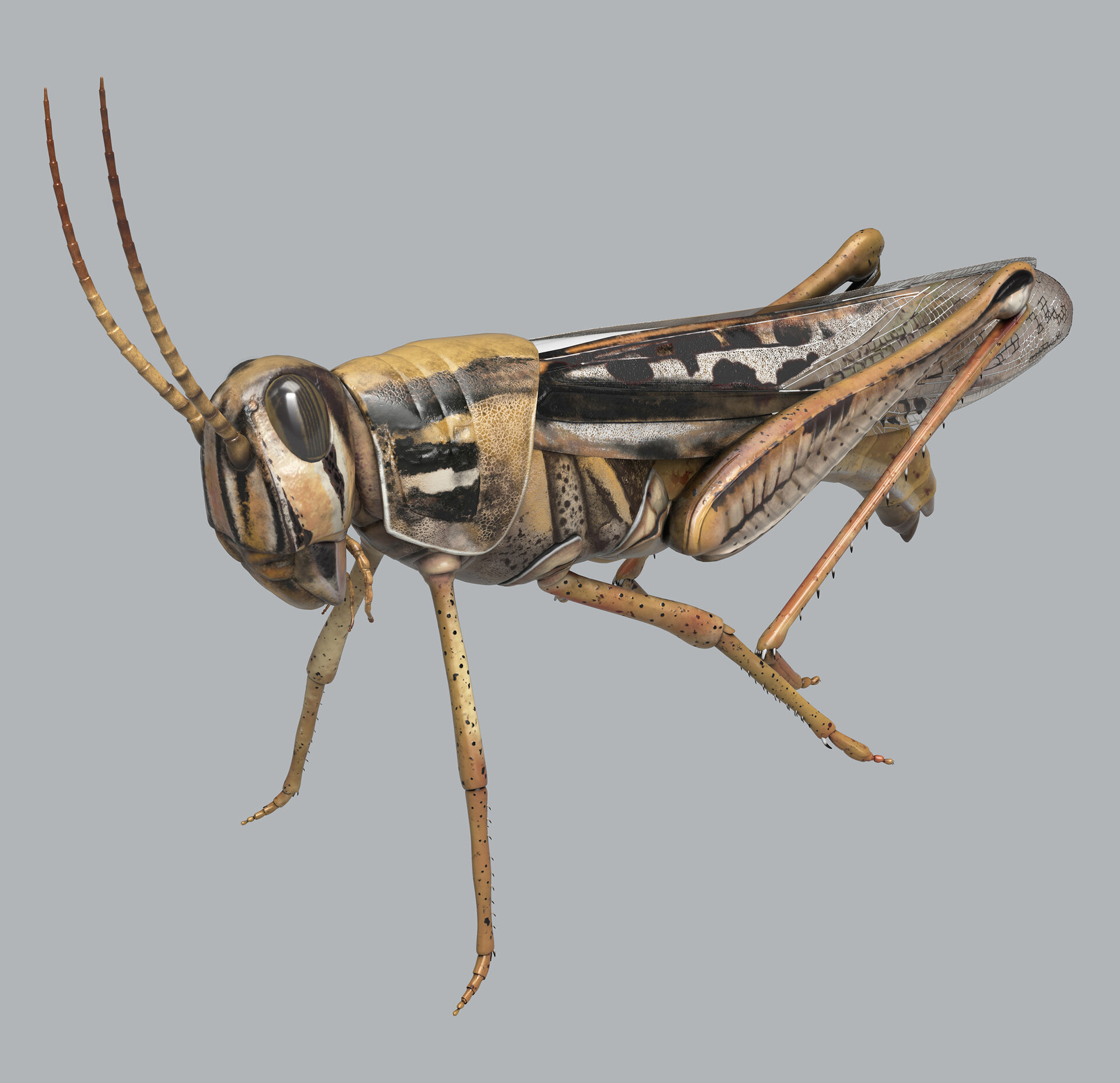 ArtStation - 2020 I just tweet...