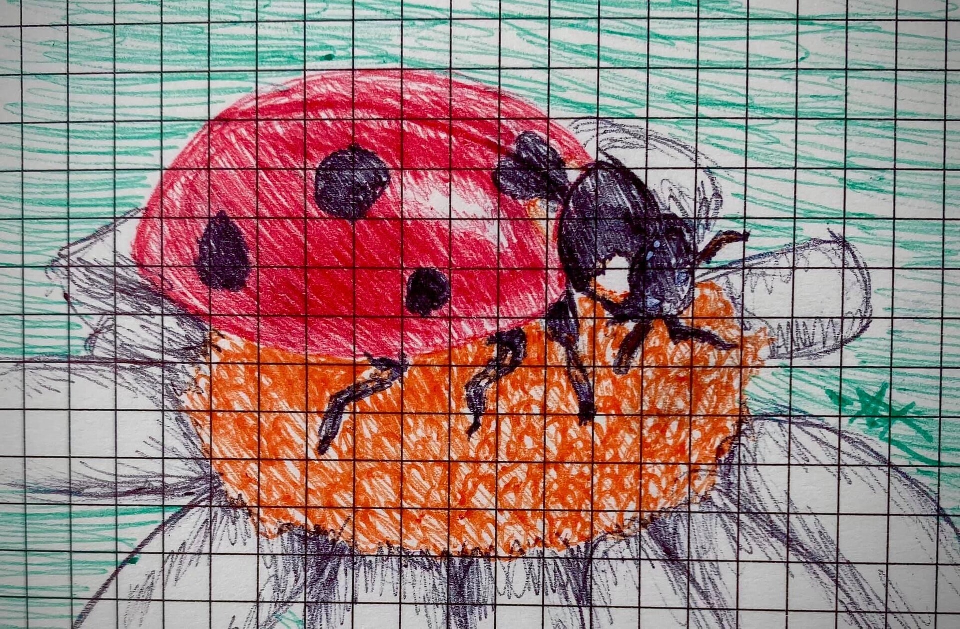 ArtStation - Ladybug