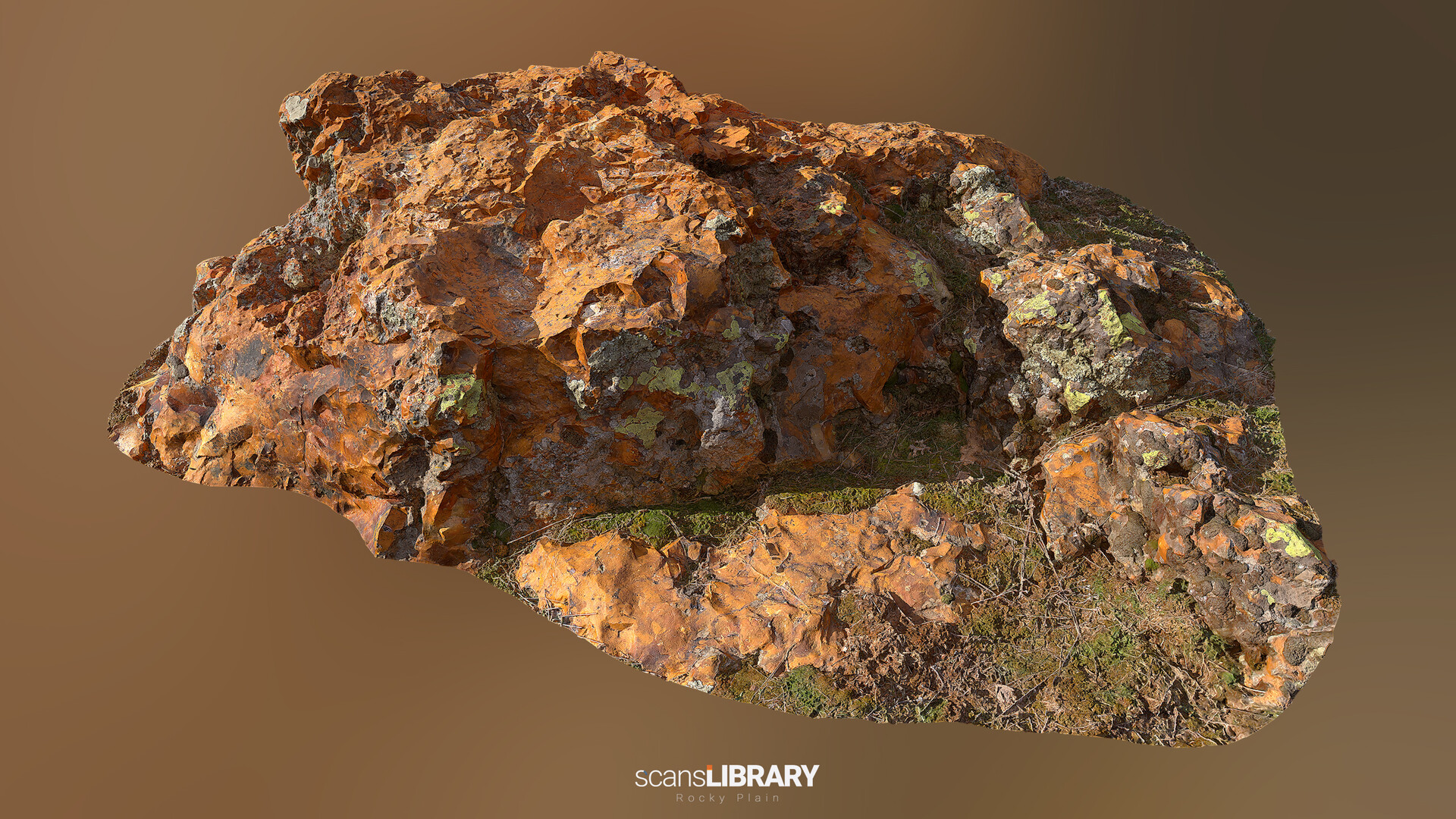 ScansLibrary - Rocky Plain / 3D Assets