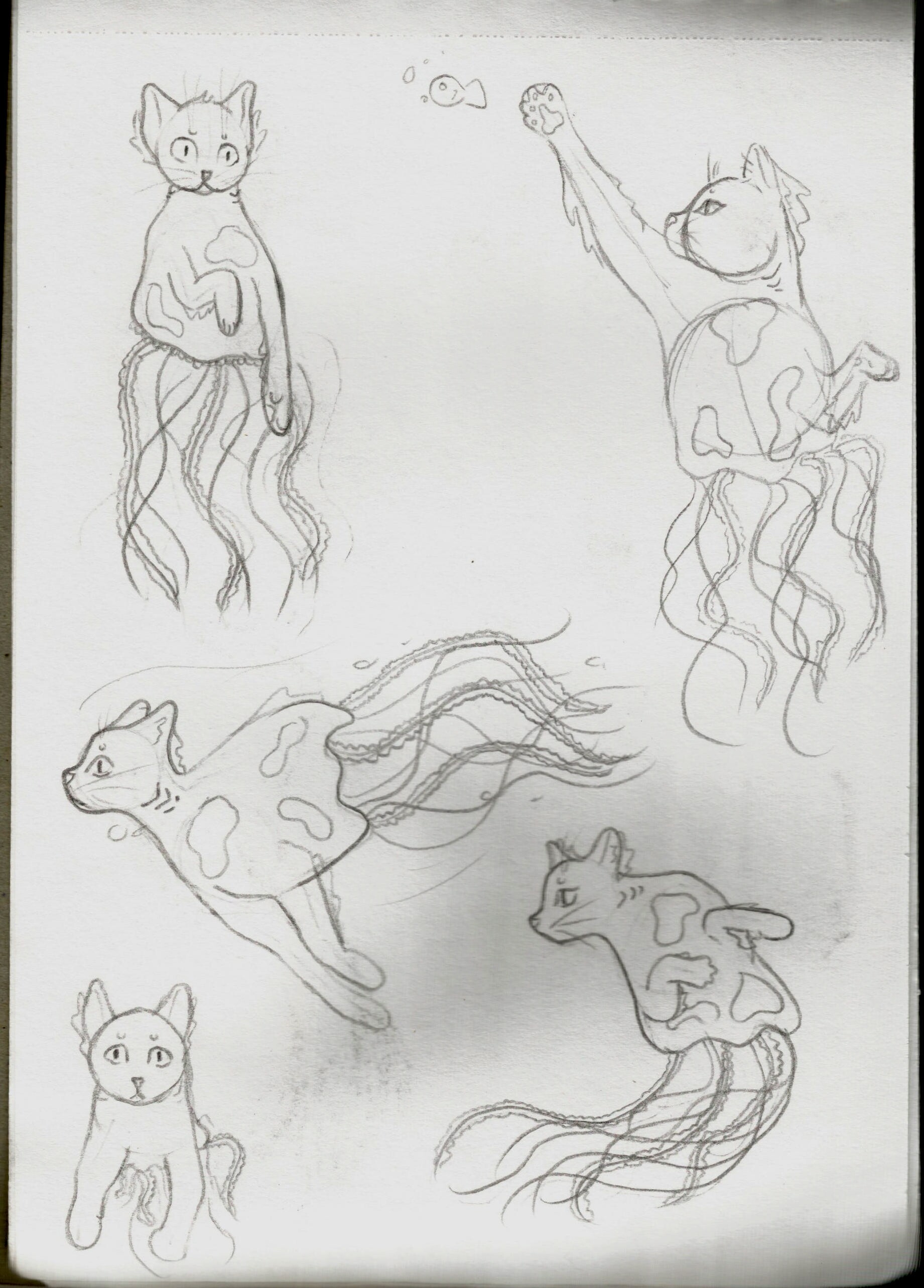 ArtStation - Jelly-Cat Sketches