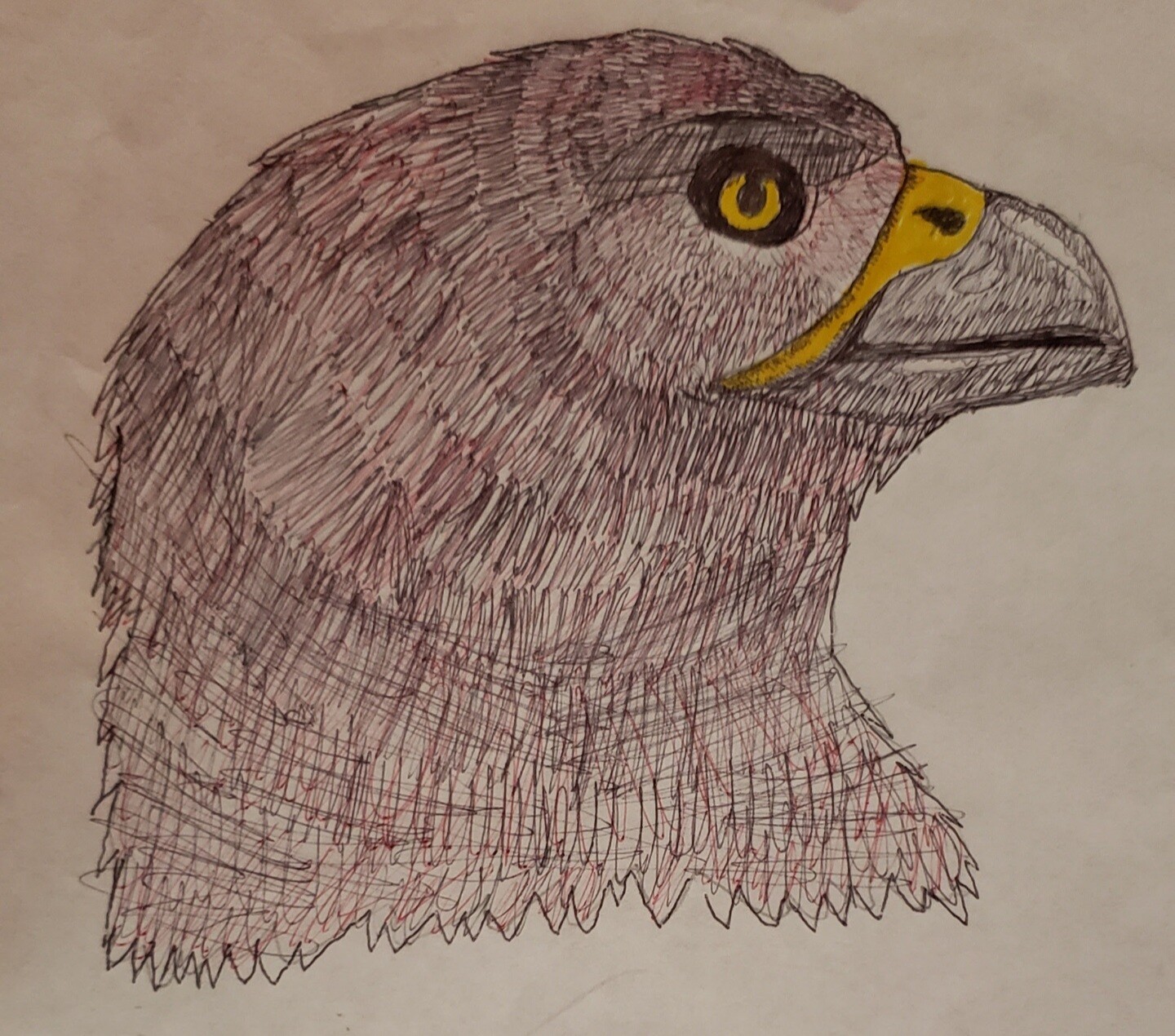 ArtStation - Animals