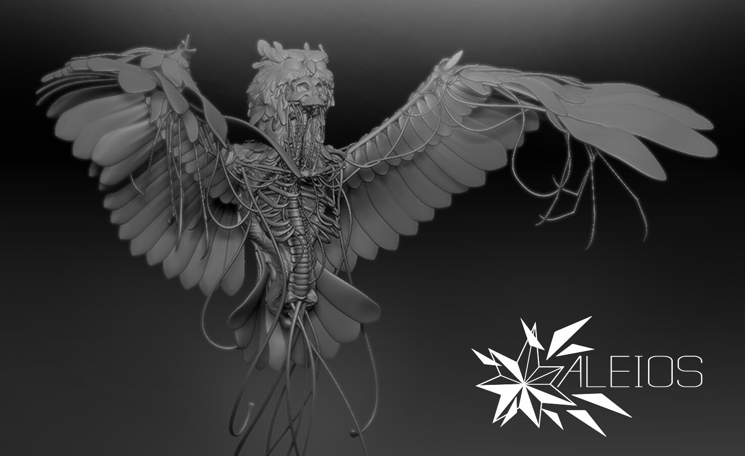 ALEIOS studio - Asqualento