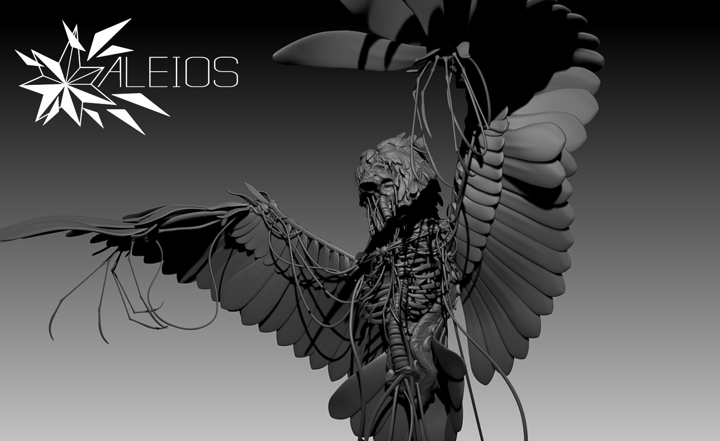 ALEIOS studio - Asqualento