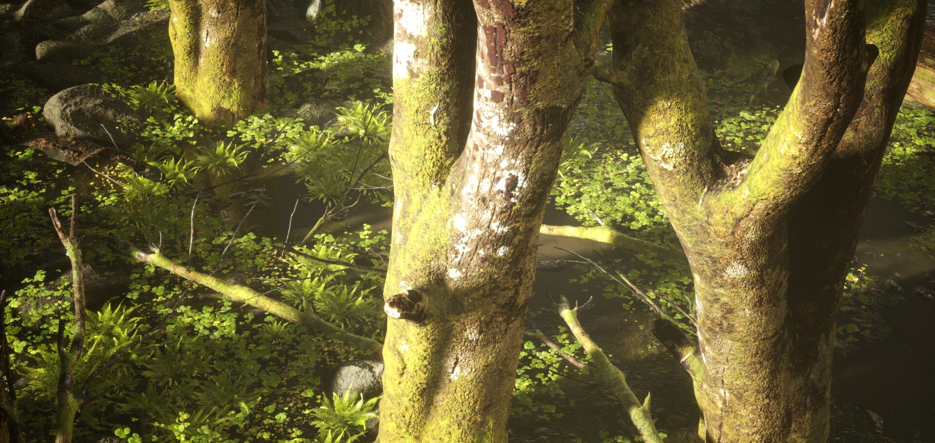 ArtStation - #Mossy Forest