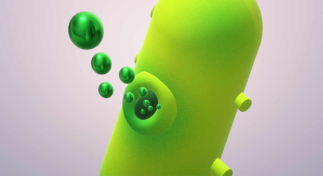 bacterial cell lysis