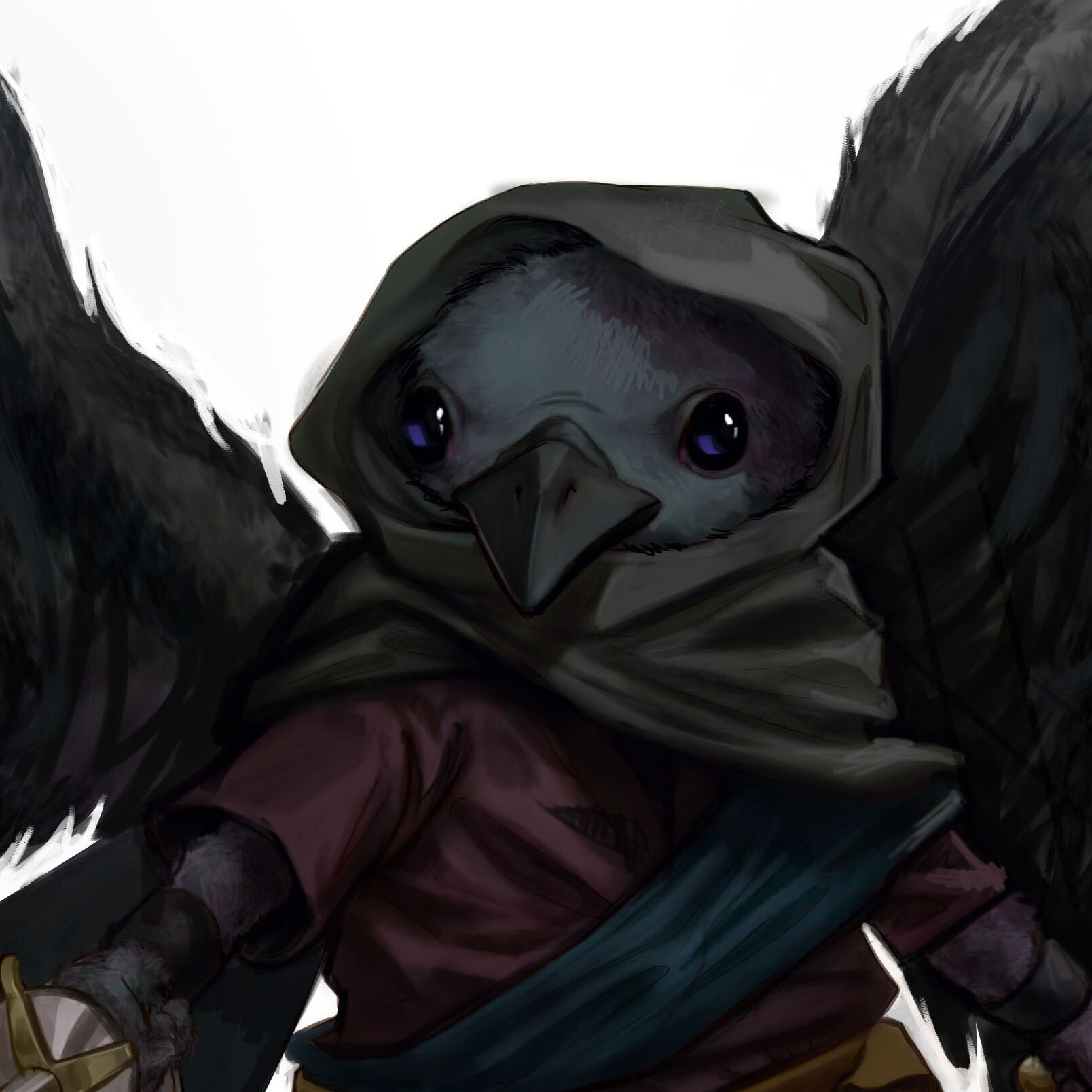 ArtStation - Aera, Aaracockra Rogue