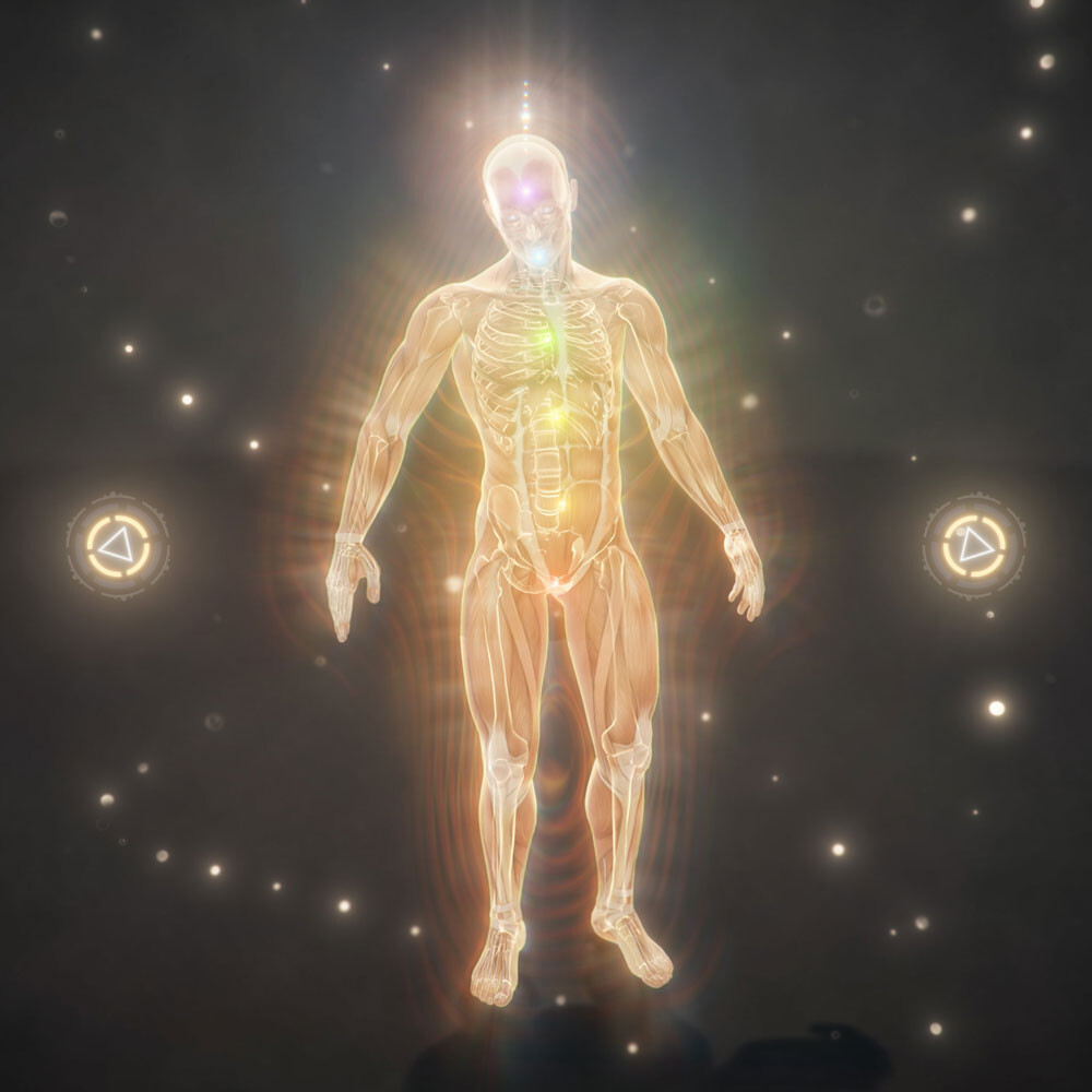 Void Visuals - Multidimensional Bodies 4D / 5D