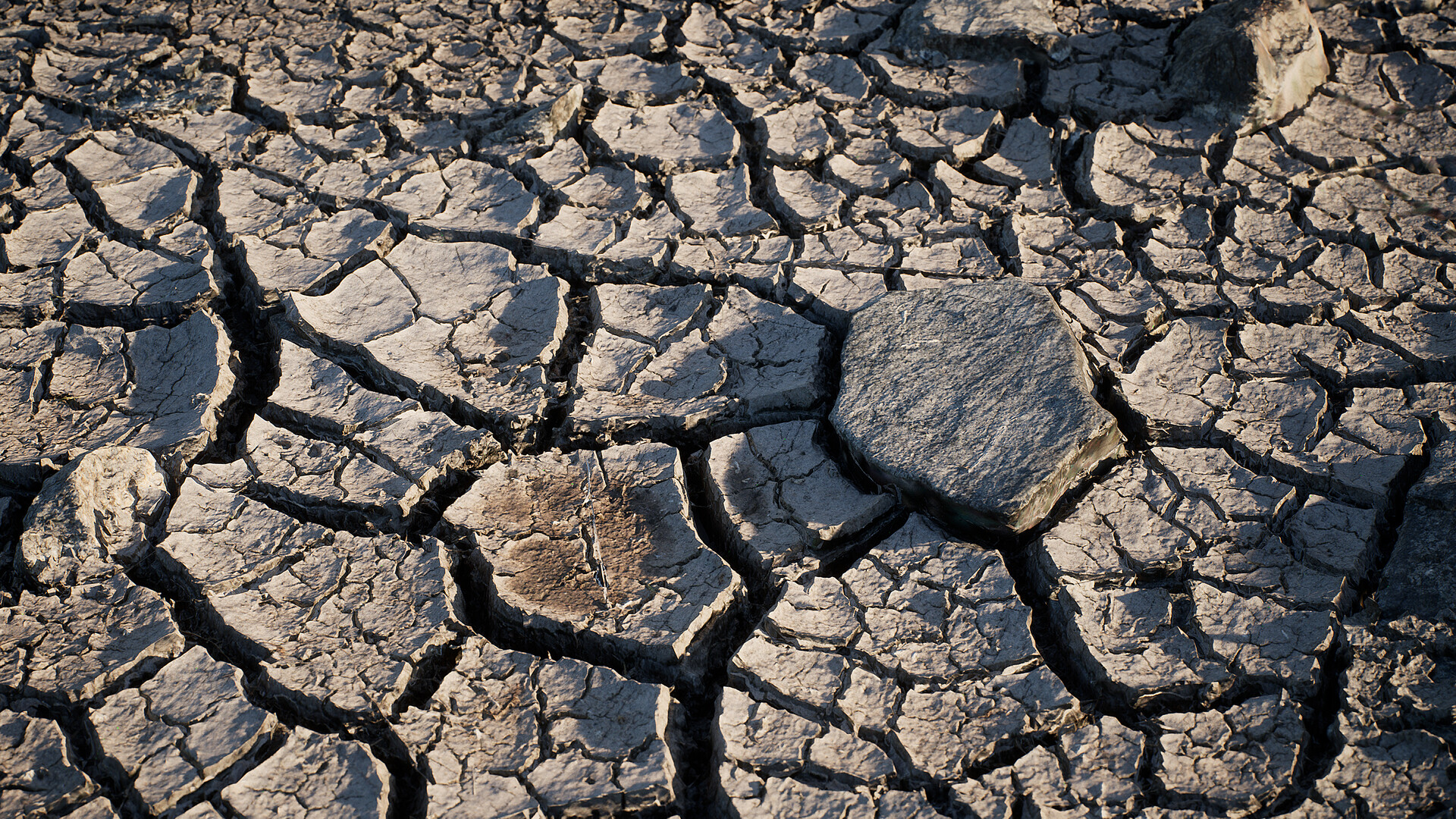 ArtStation - DryMud Patch