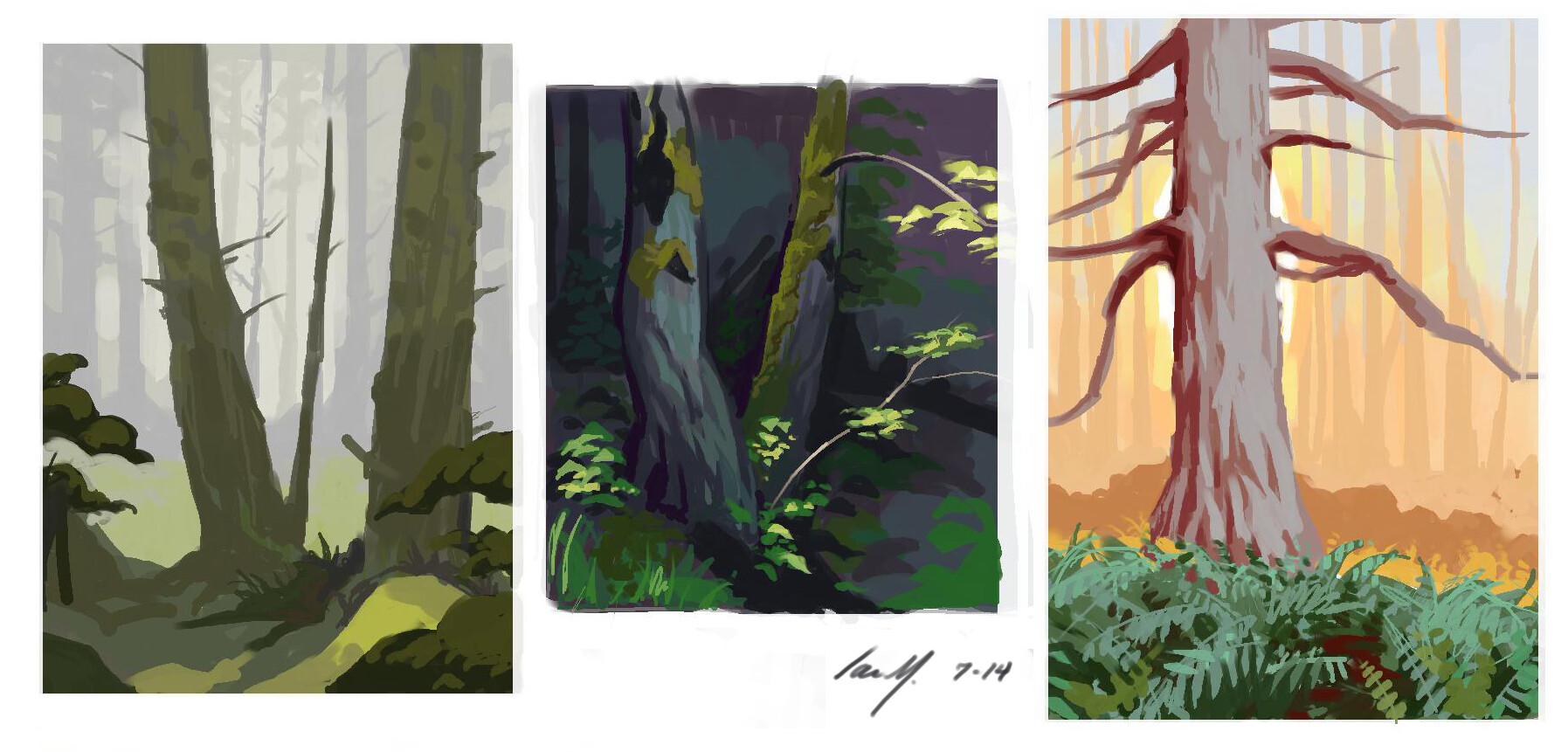 ArtStation - Tree Studies