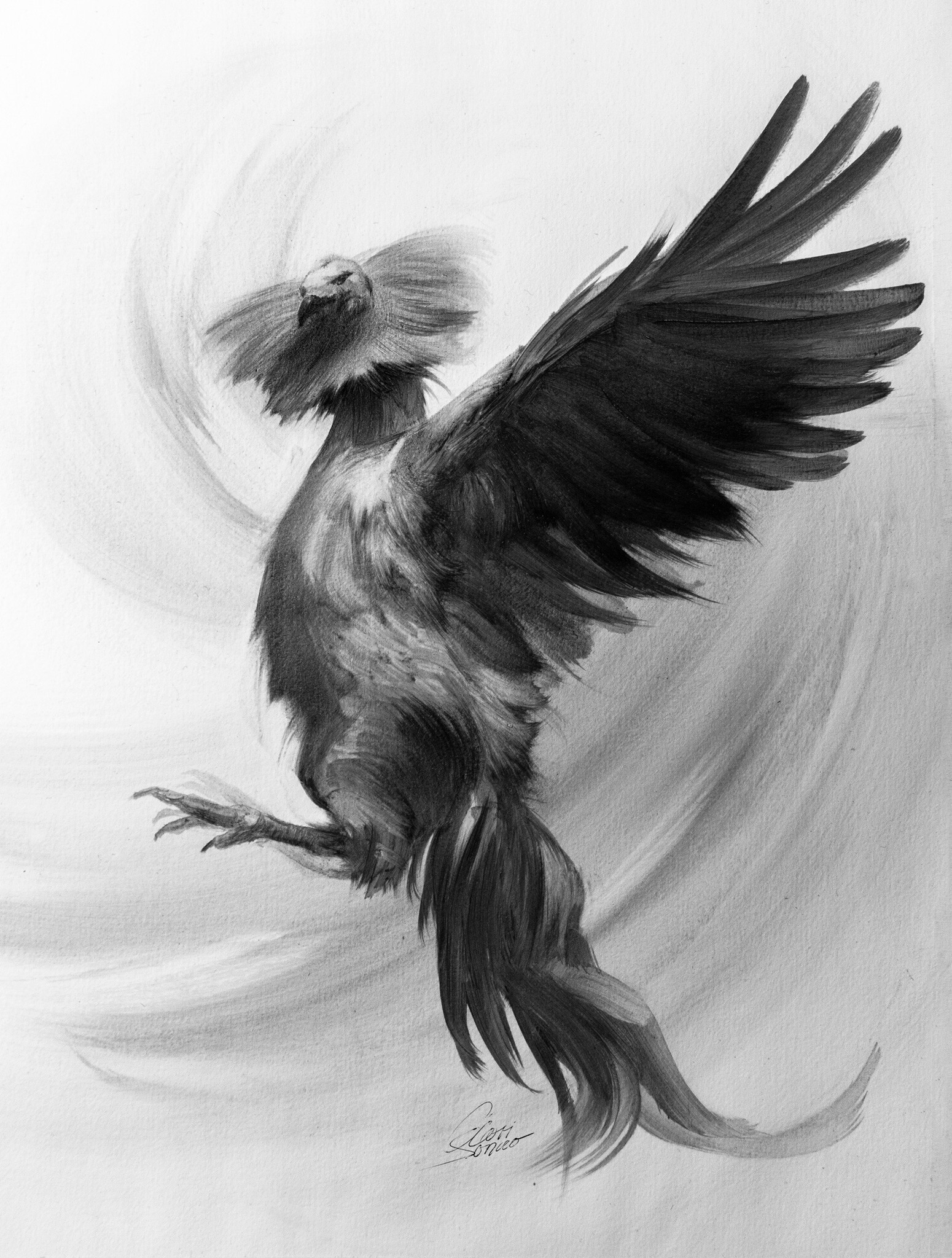 ArtStation - Gallo de pelea