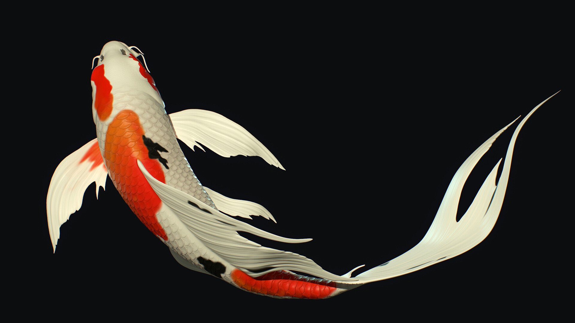 Butterfly Koi Wallpaper