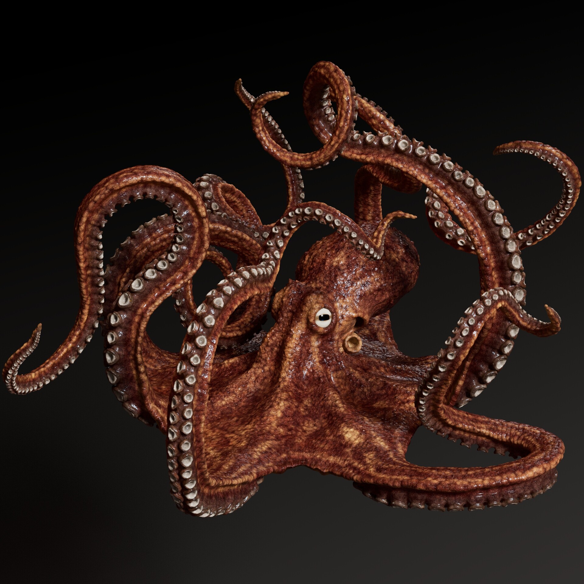 ArtStation - Octopus Multicolor Rigged Animated