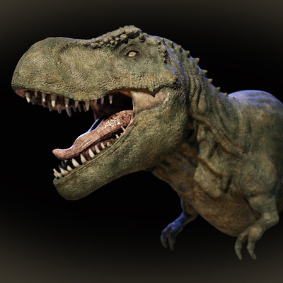 David Bittorf School - Portfolio