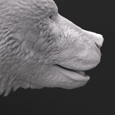 Rupam Mondal - Portfolio