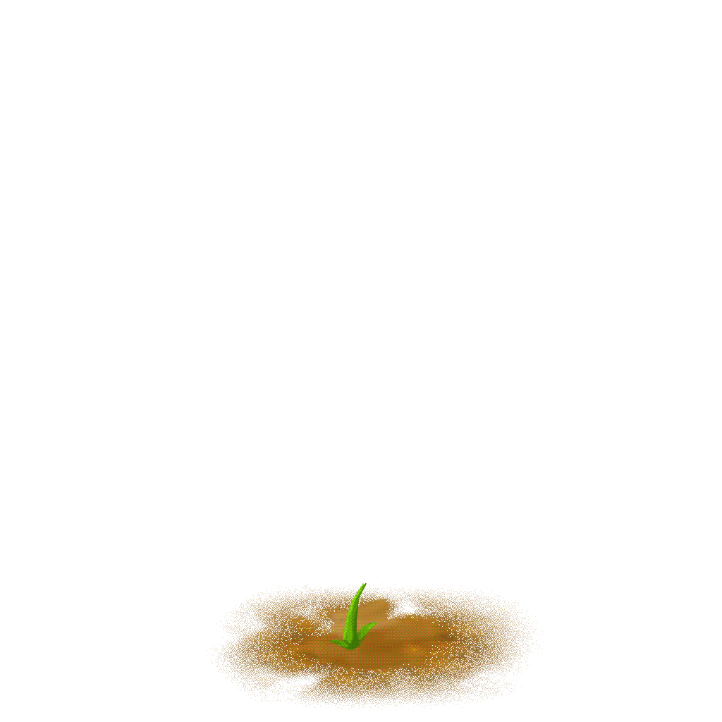 Seed Growing Gif