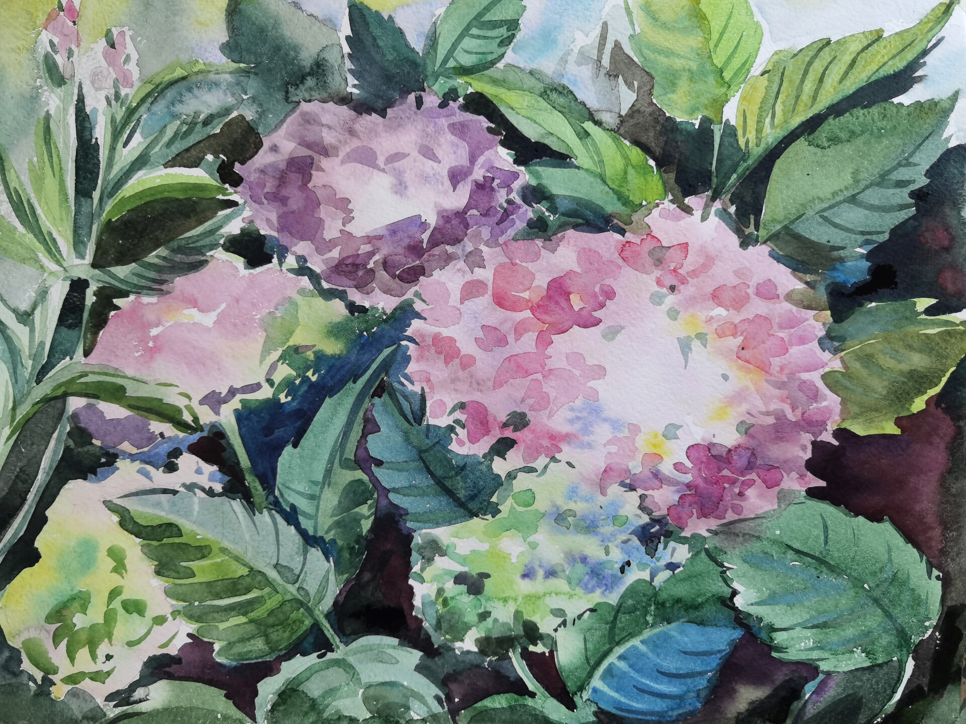 ArtStation - Hydrangeas in the garden / watercolor