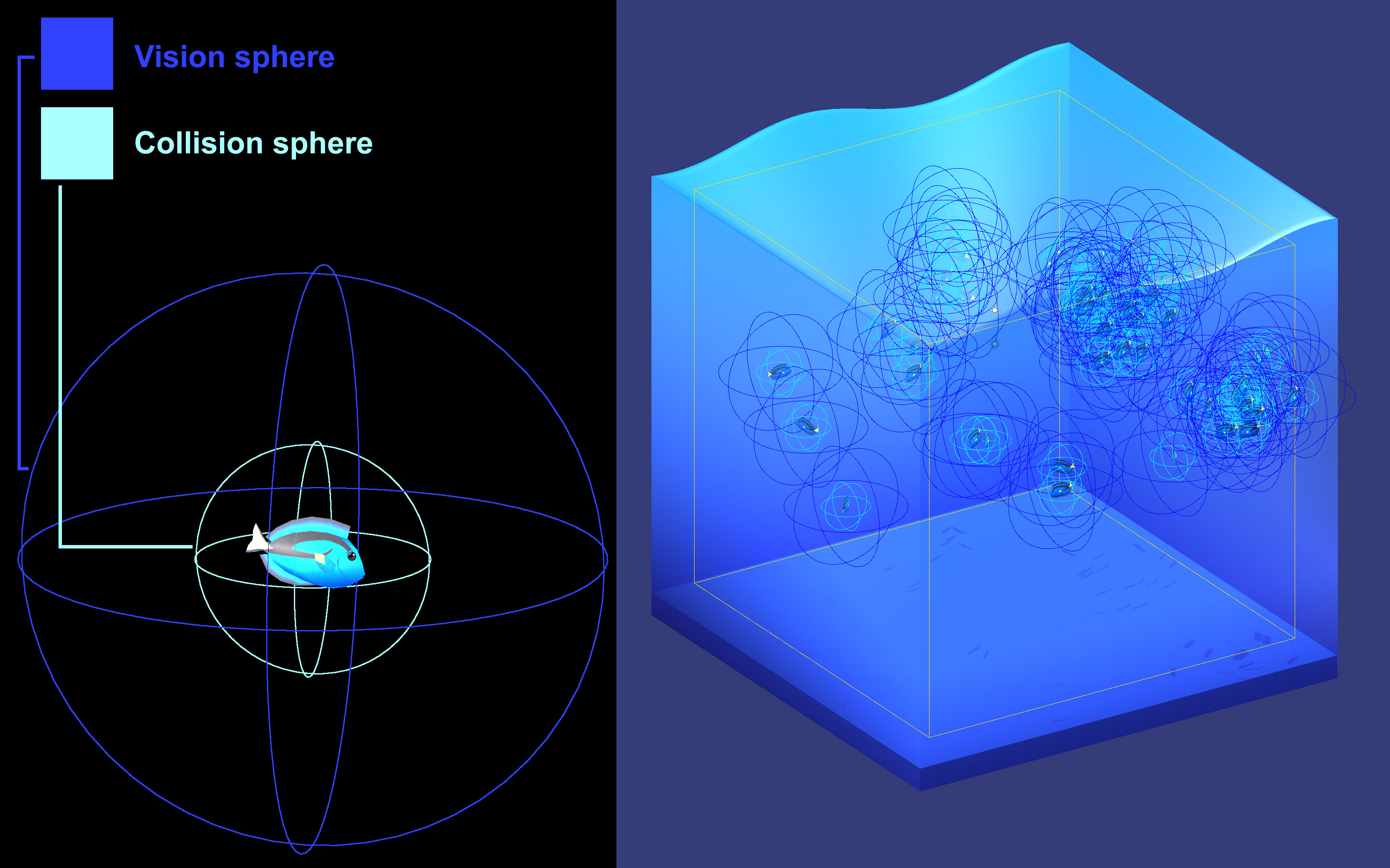 Daniel Akbari - Boids Simulation (C#)