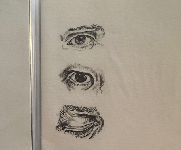 ArtStation - Anatomy Study - Realistic Eyes