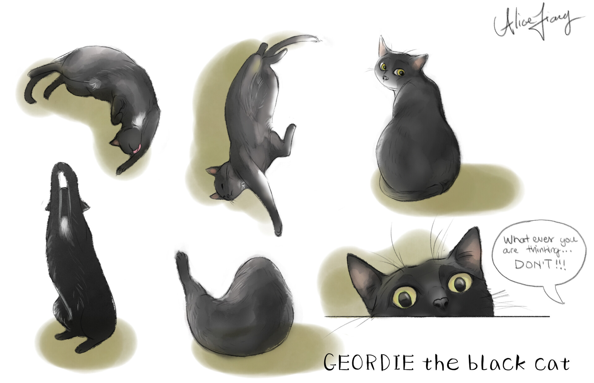 ArtStation - Geordie the black cat