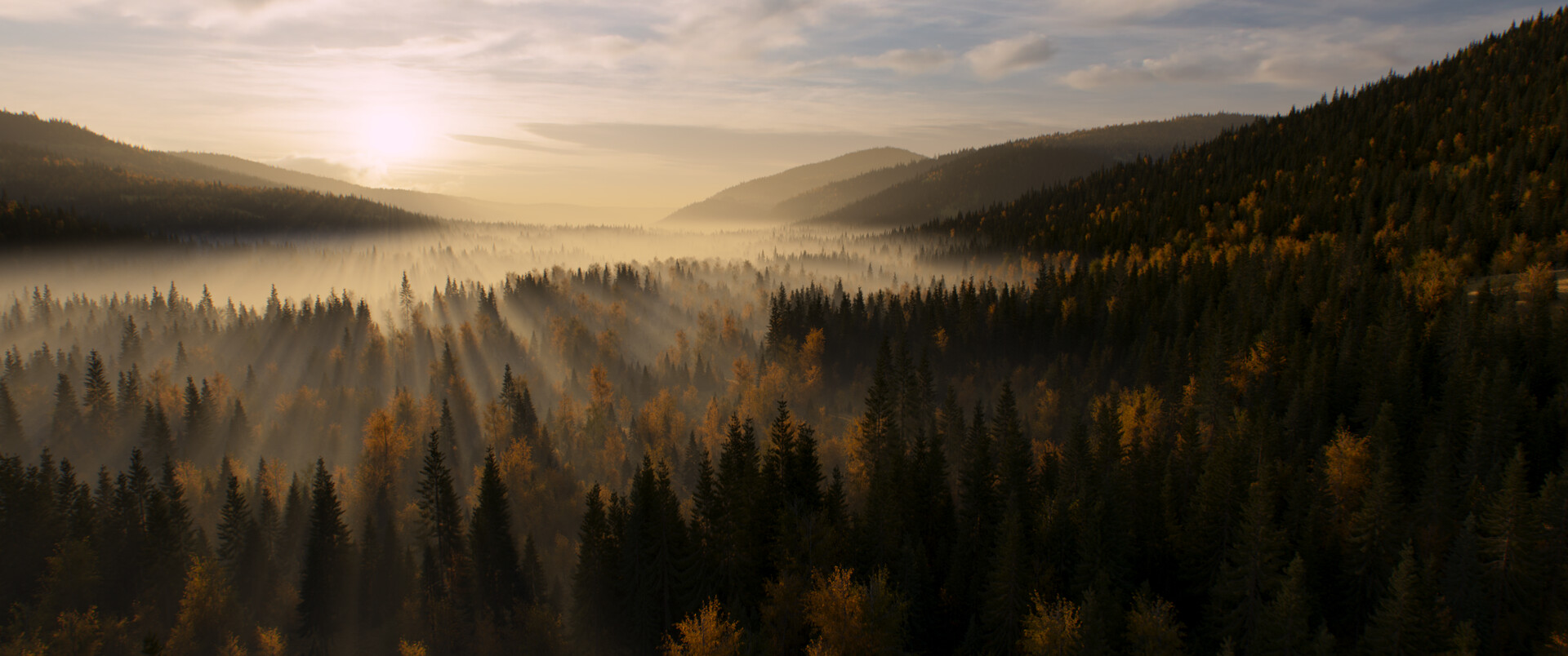 ArtStation - CG Environment