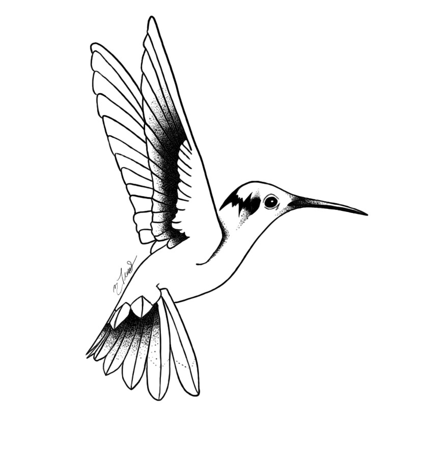 ArtStation - Ink Hummingbird