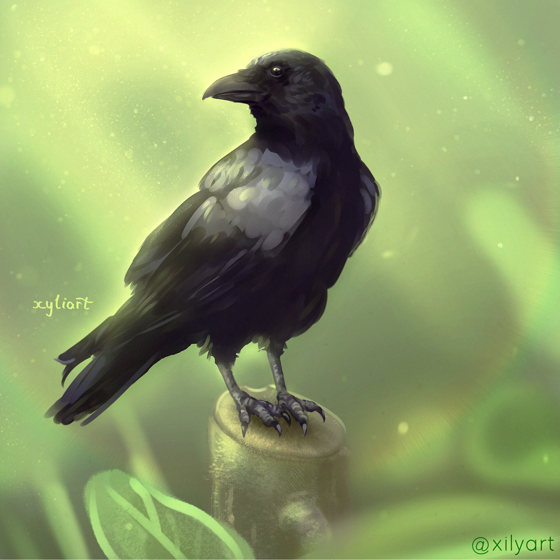 ArtStation - Crow