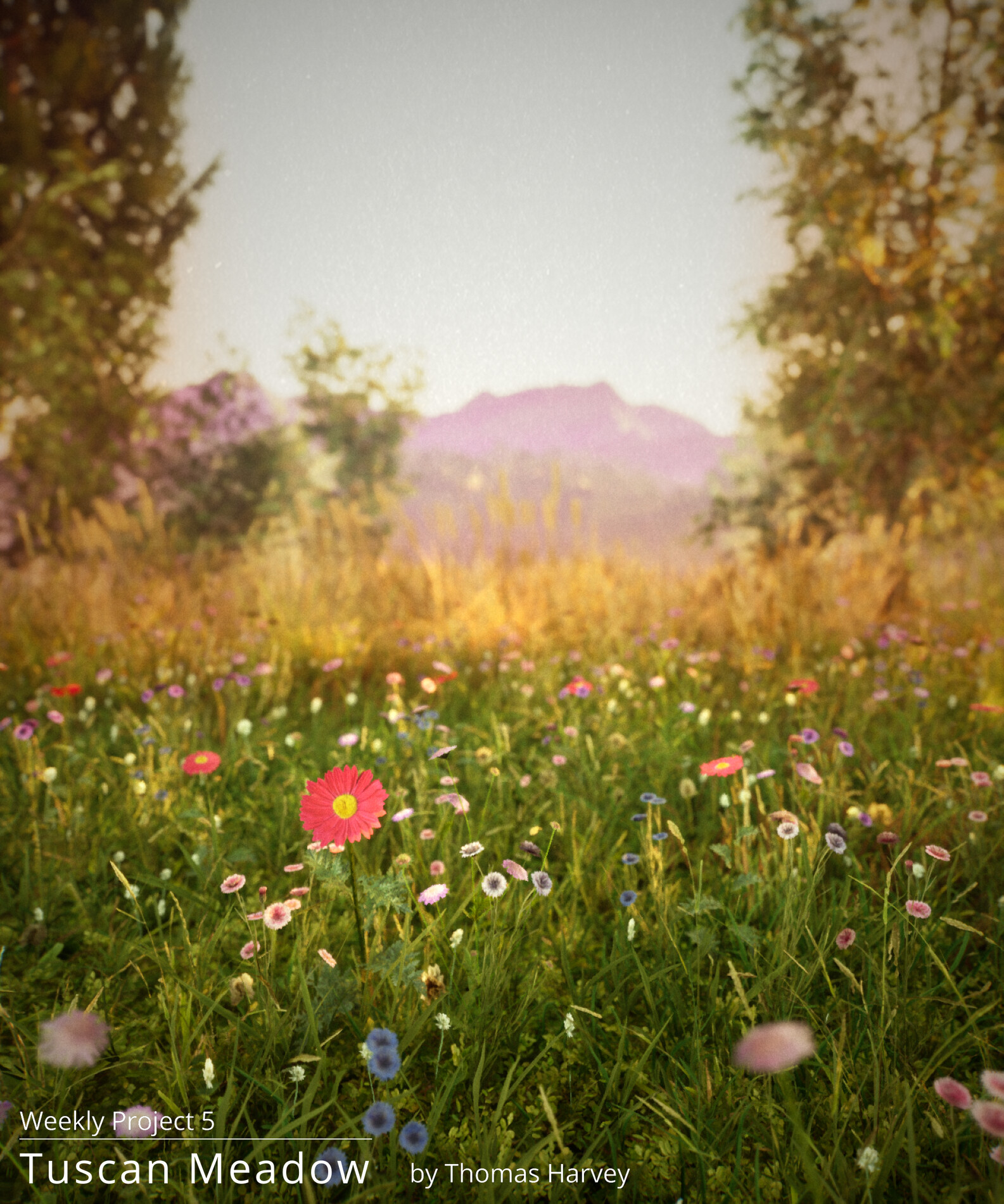 ArtStation - Tuscan Meadow - Weekly Project 5