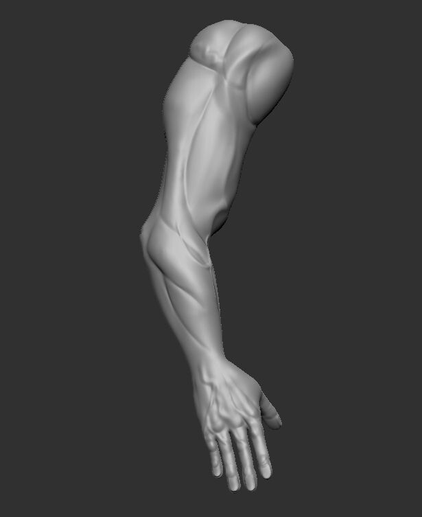 ArtStation - Arm day