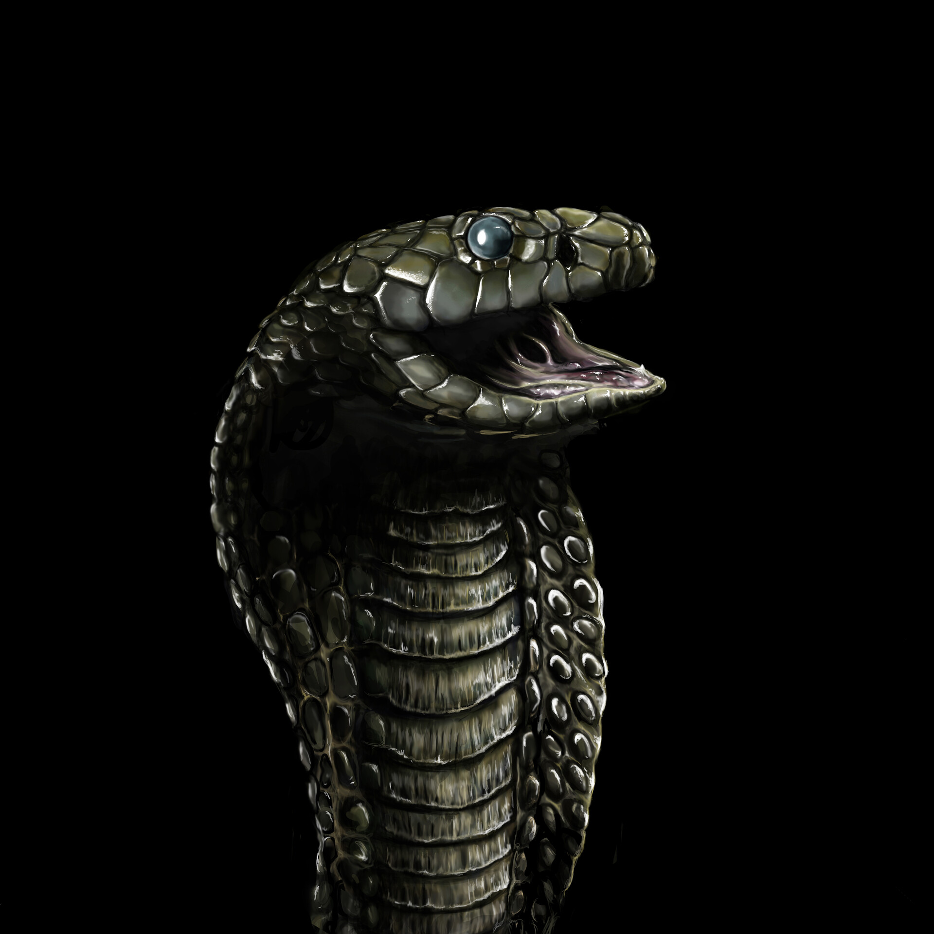 ArtStation - king Cobra