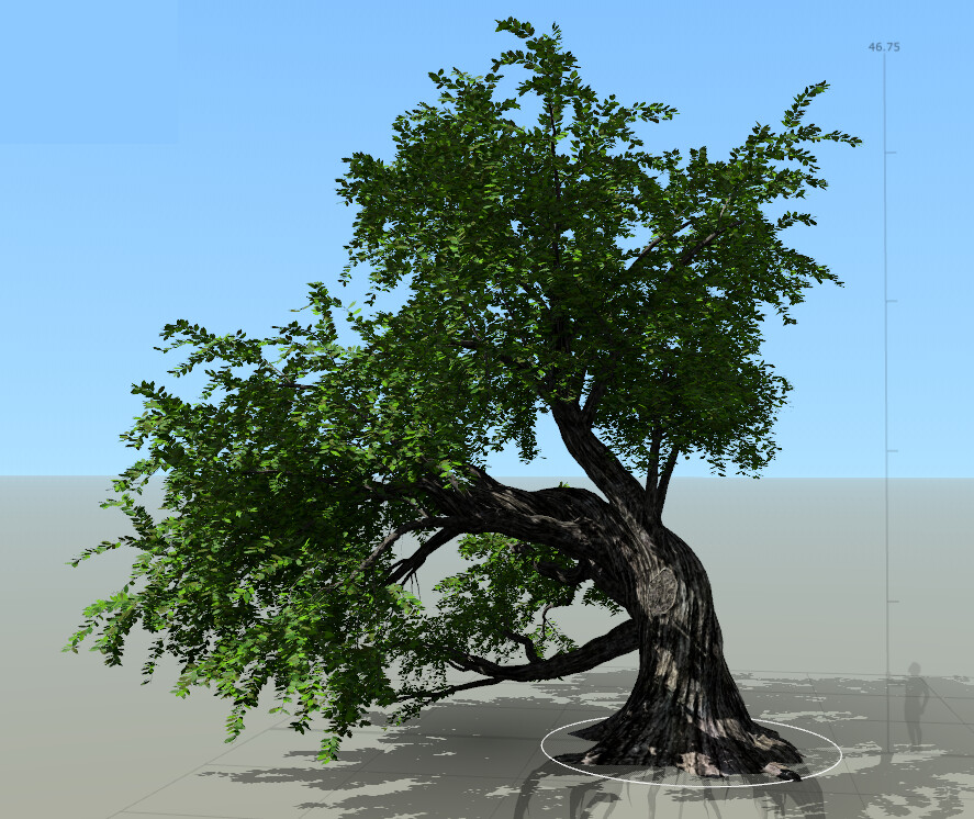 ArtStation - Speed tree (exercise )