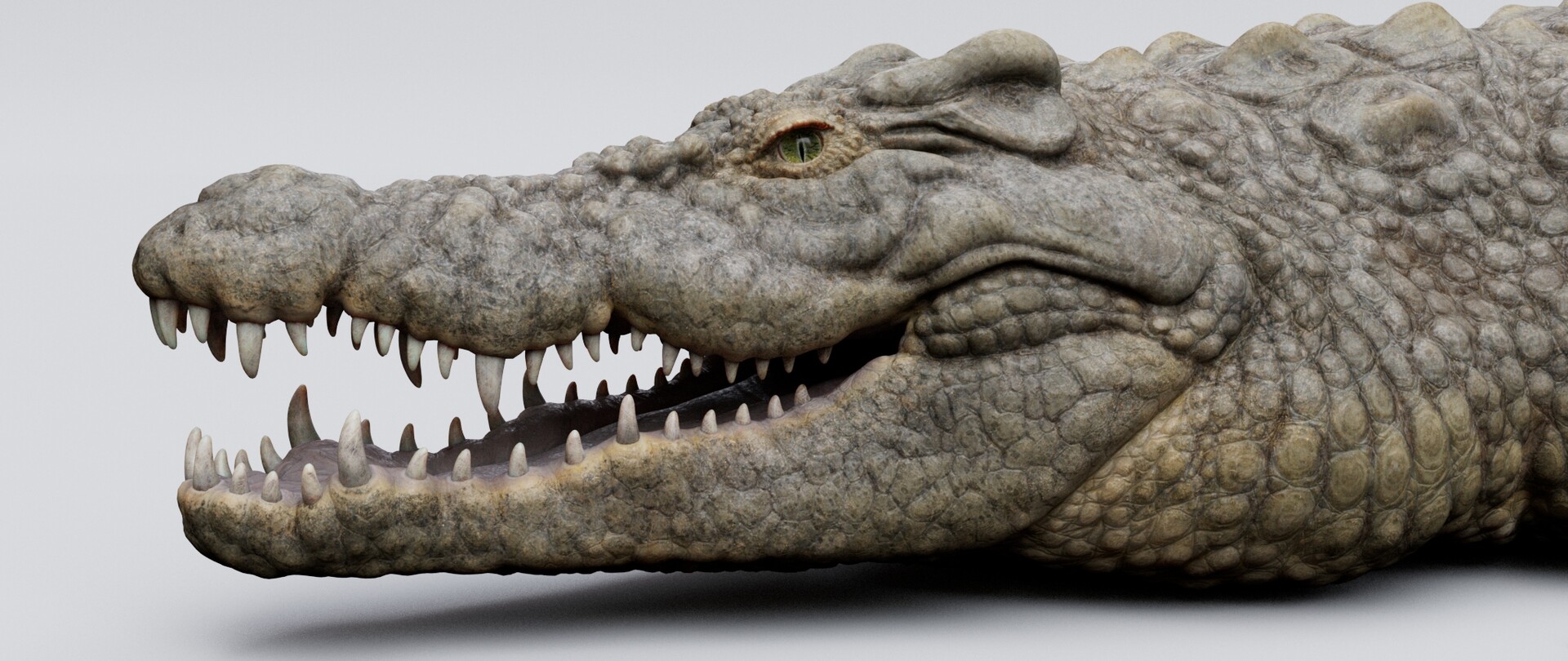 ArtStation - Crocodile/Wip -Zak Boxall