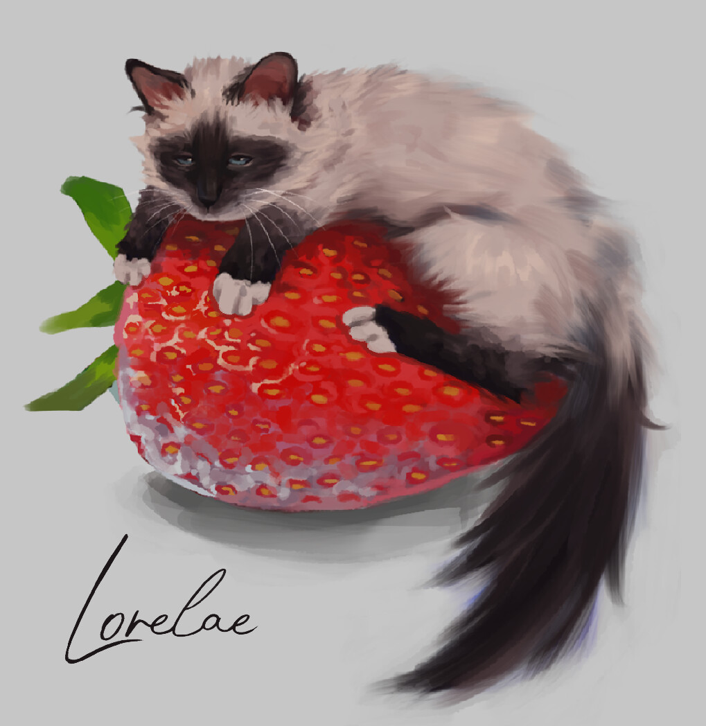 ArtStation - Strawberry Cat - Illustration