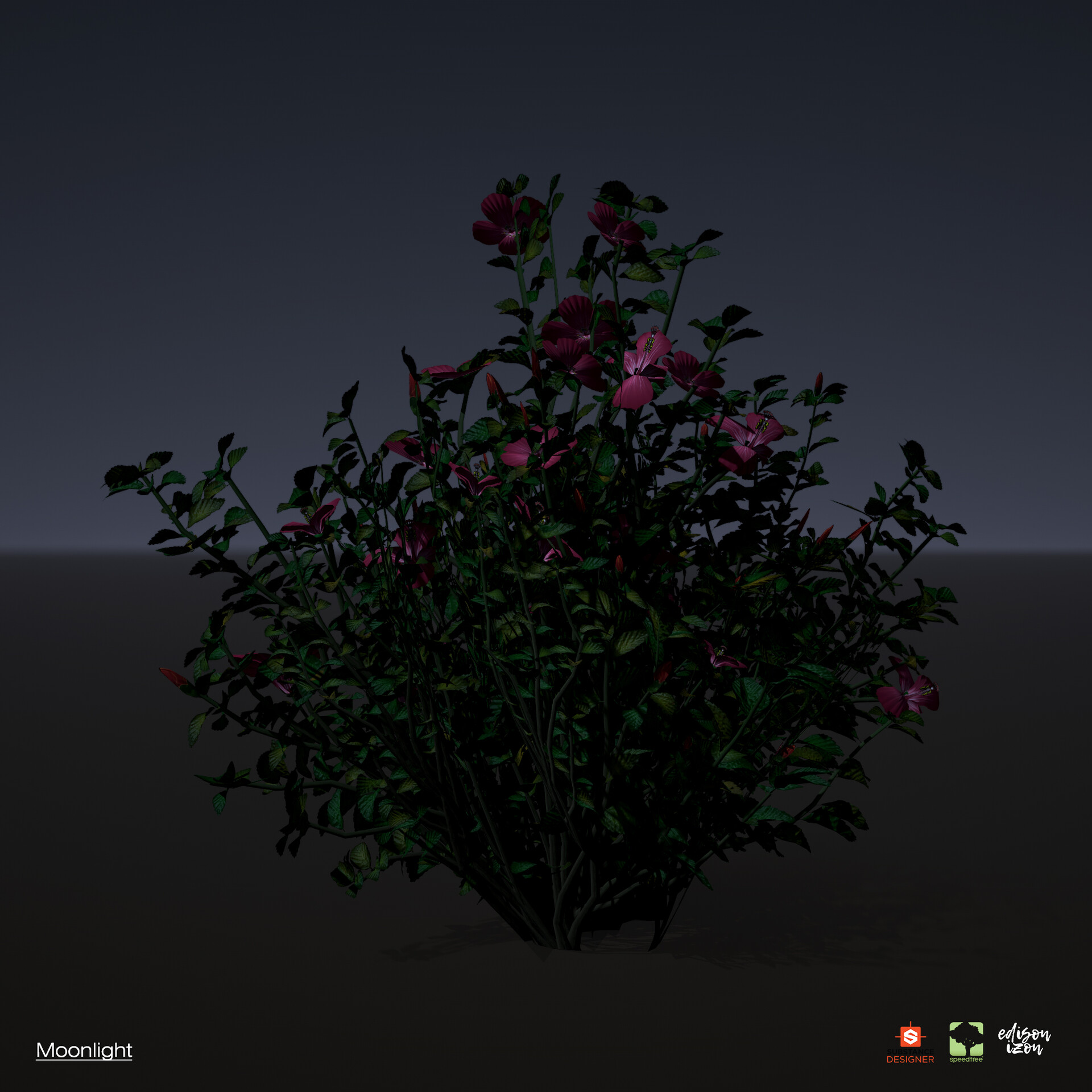 Edison - Hibiscus Plant Creation in Substance Designer & SpeedTree.