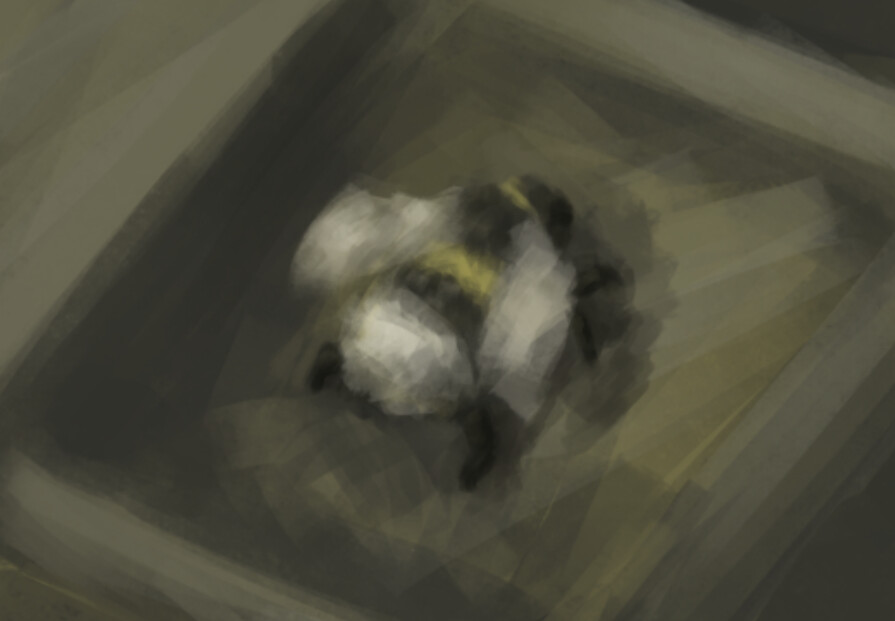 ArtStation - Bumblebee in a matchbox