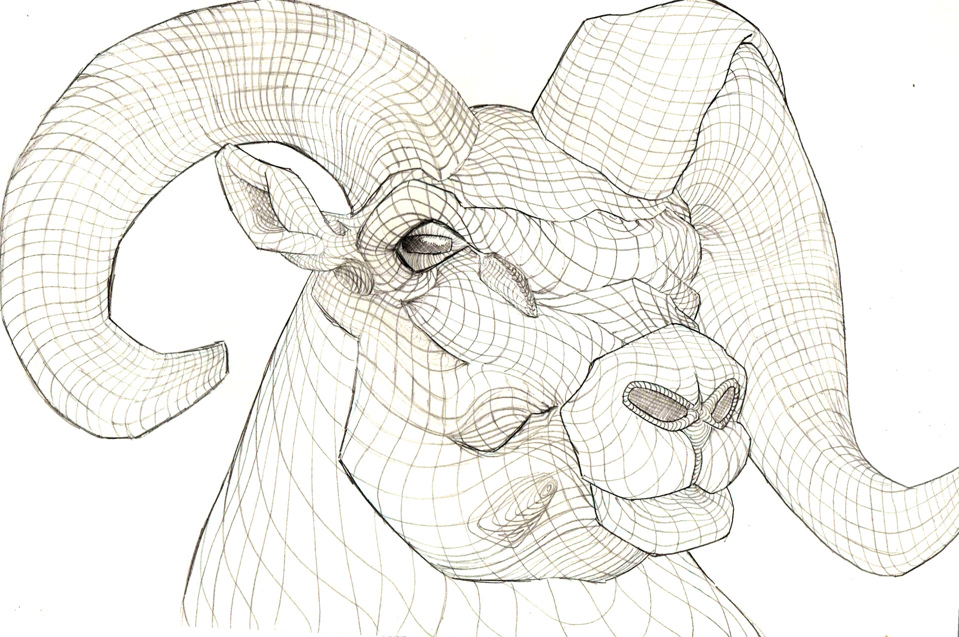 ArtStation - Contour Ram