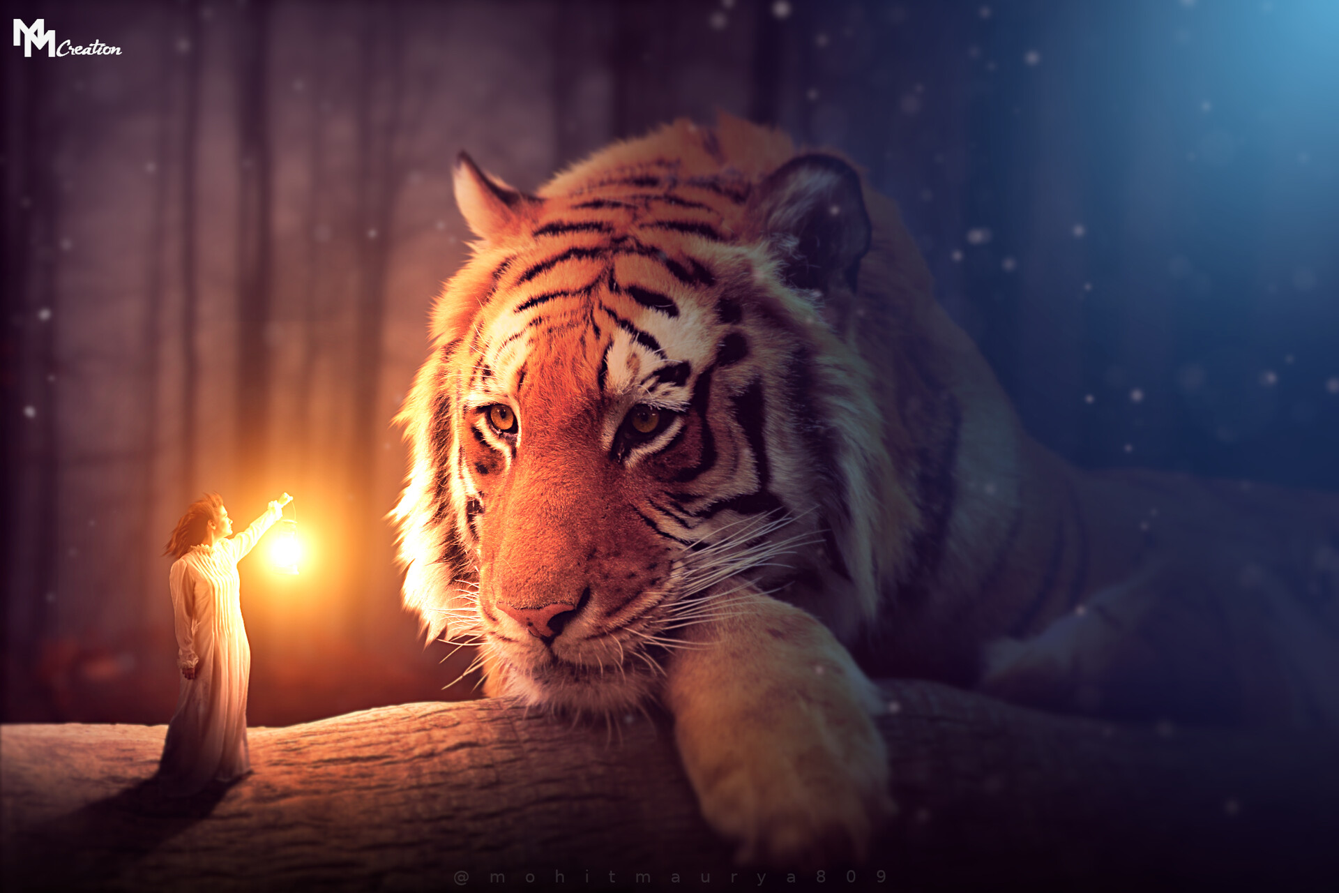 ArtStation - Girl With Big Tiger Fantasy art