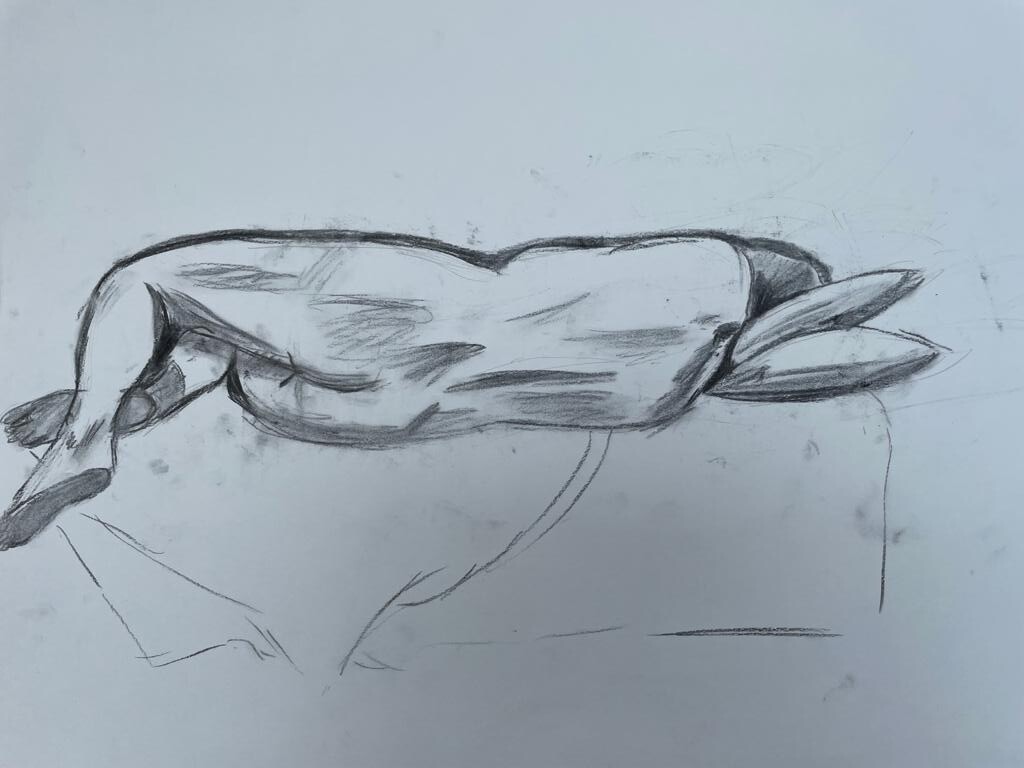 ArtStation - Assorted Life Drawing