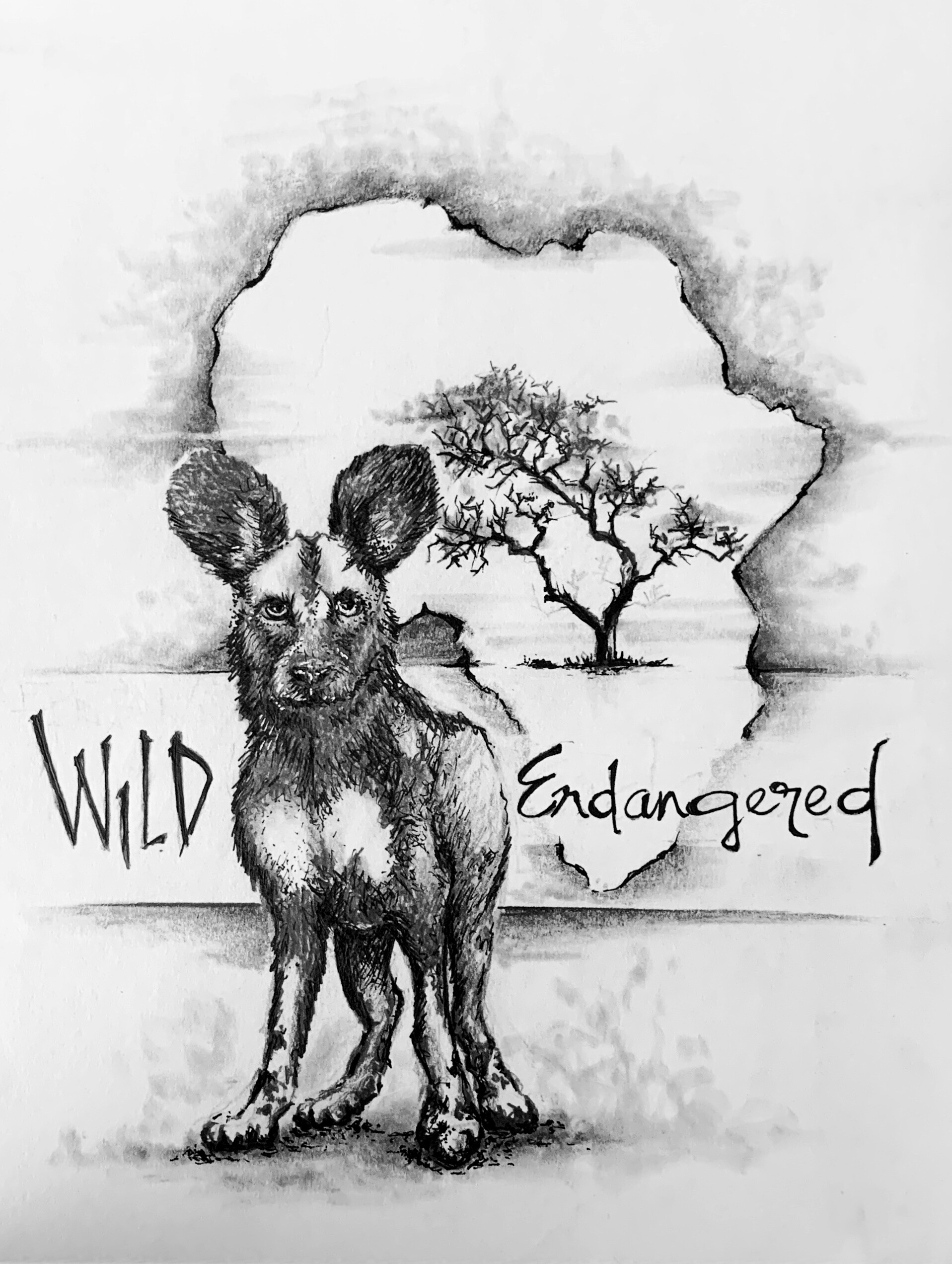 ArtStation - “wild dog”