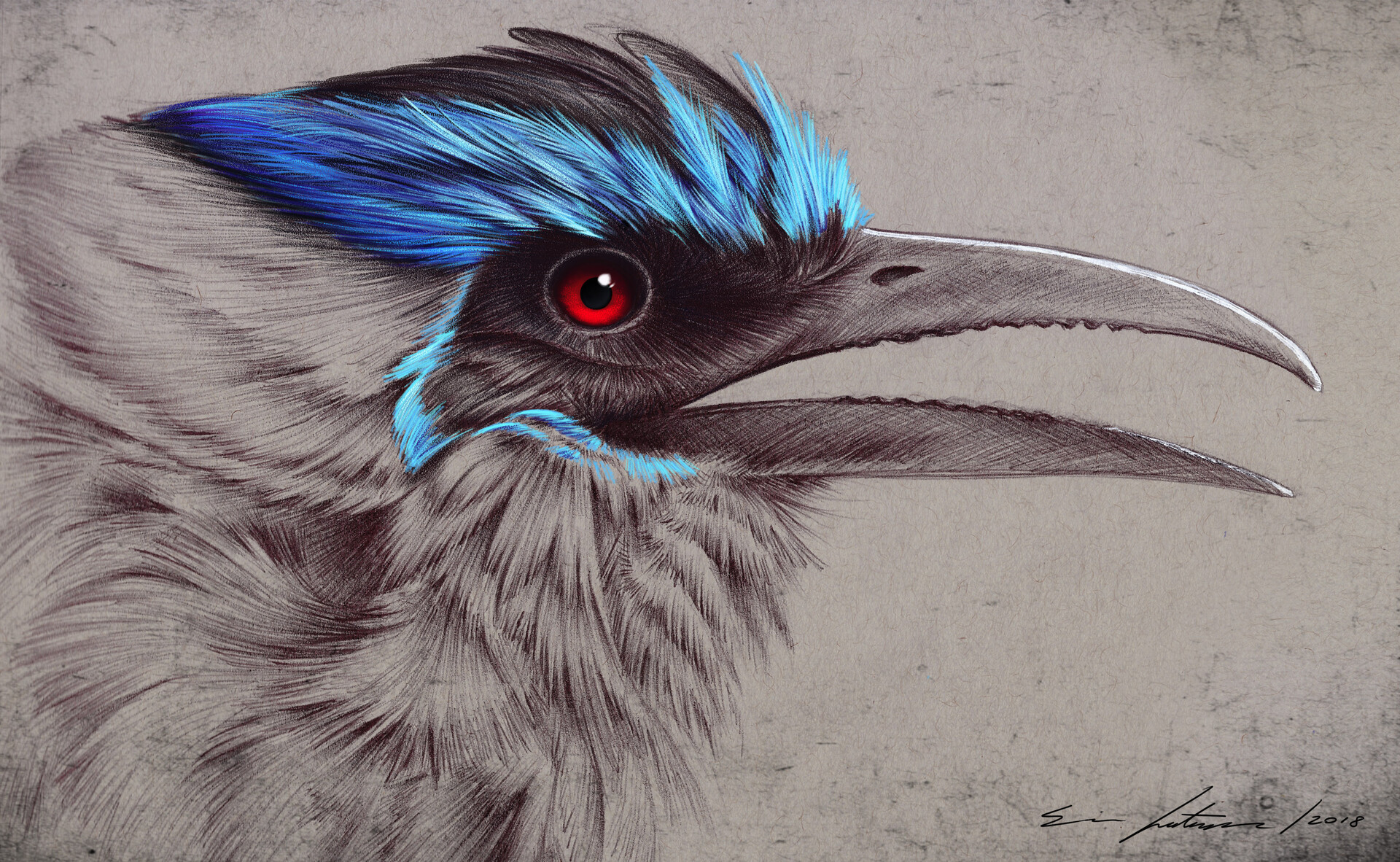 ArtStation - Amazonian Motmot