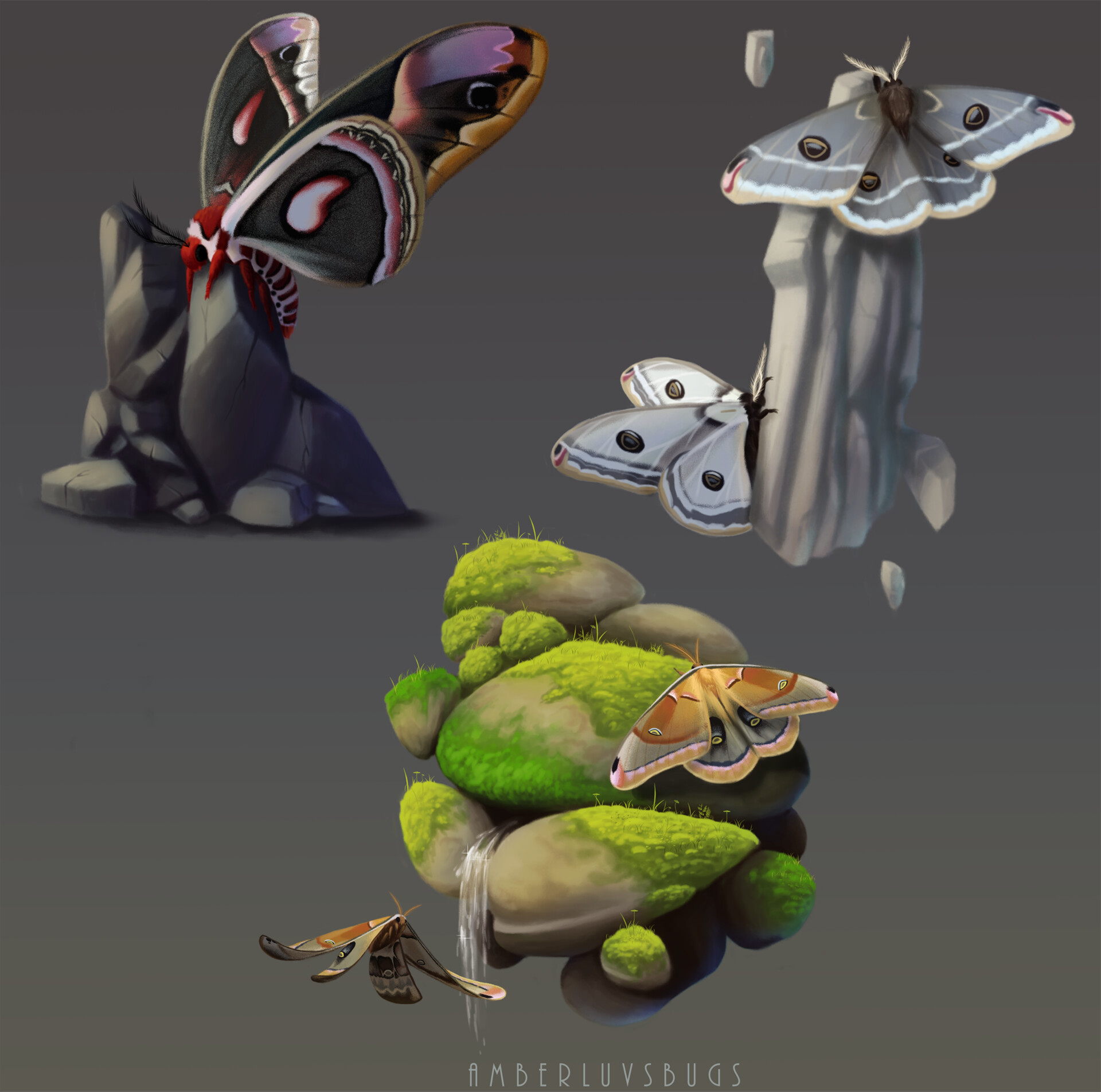 ArtStation - Moths and environment studies