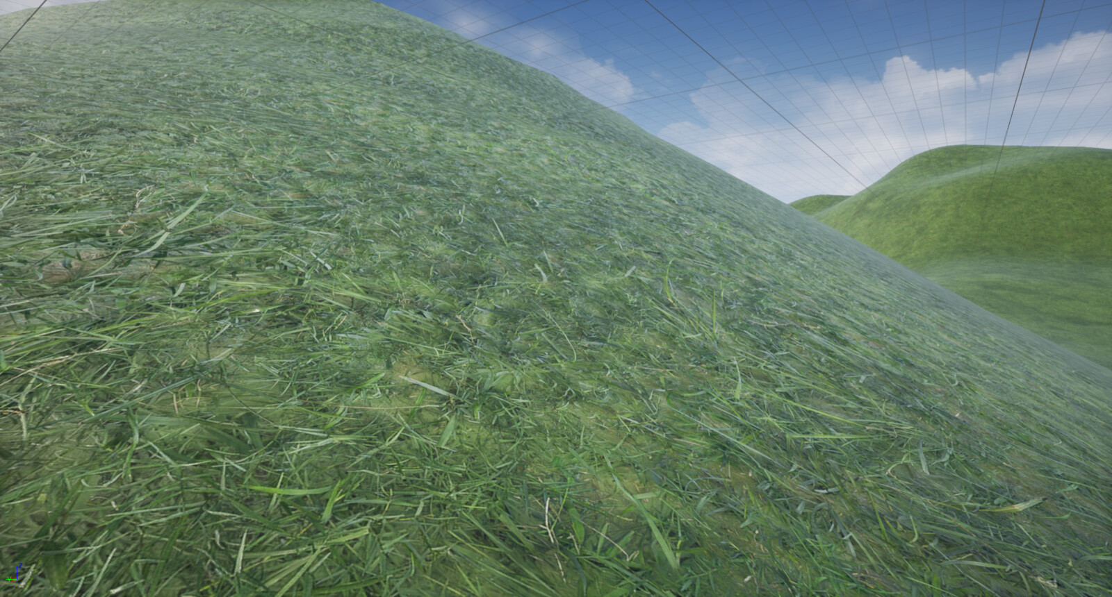 Joaquin Ponce Véjar - Realistic Grass Texture