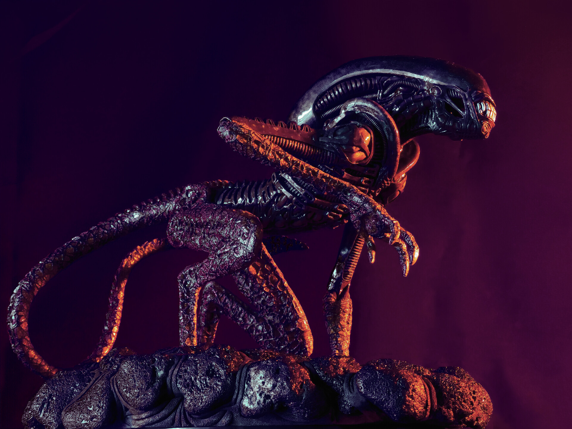 ArtStation - Lava Alien Magenta